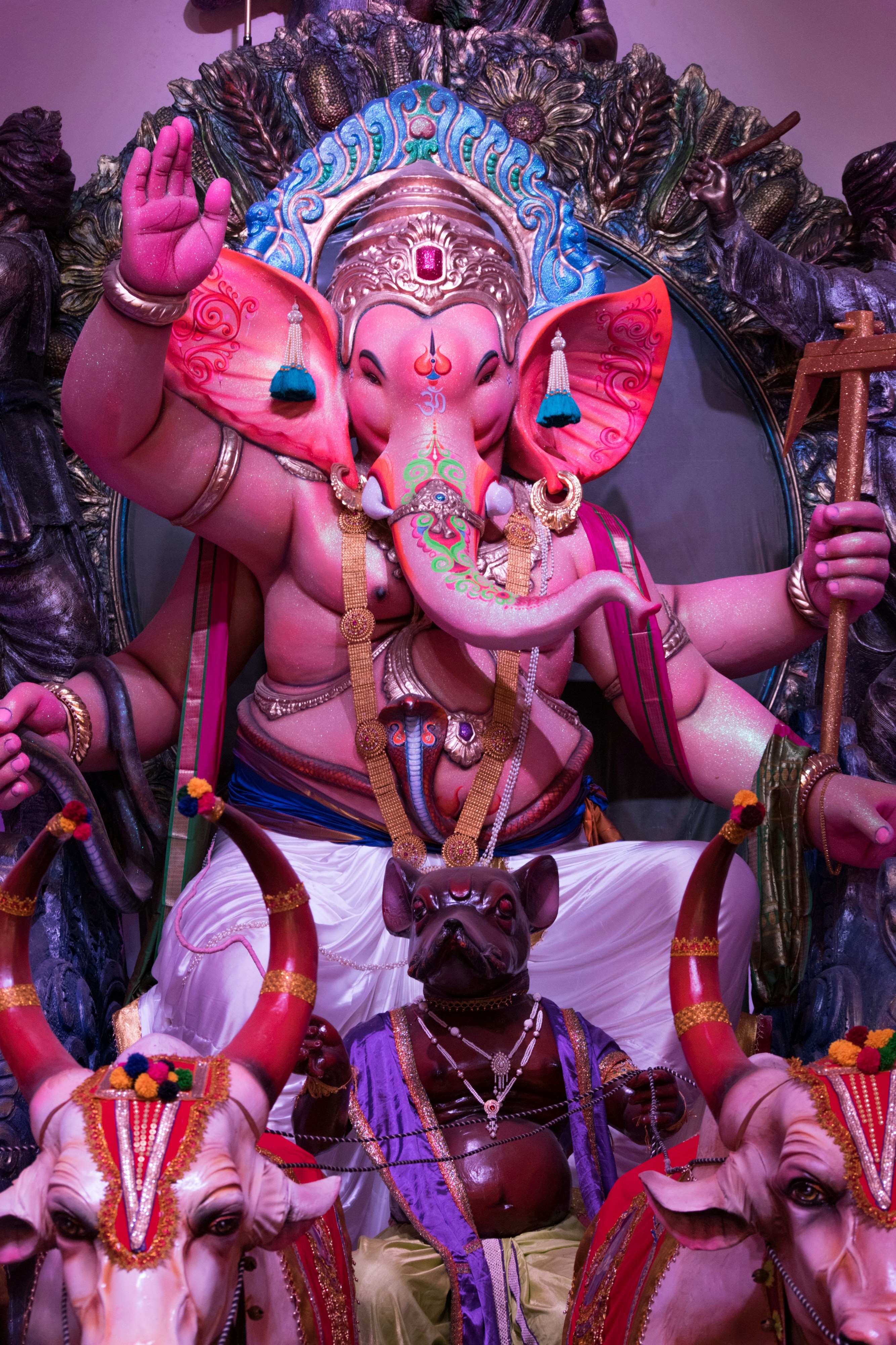 Pink Ganesh Under Violet Glow: A Shrine of Decorated Bulls