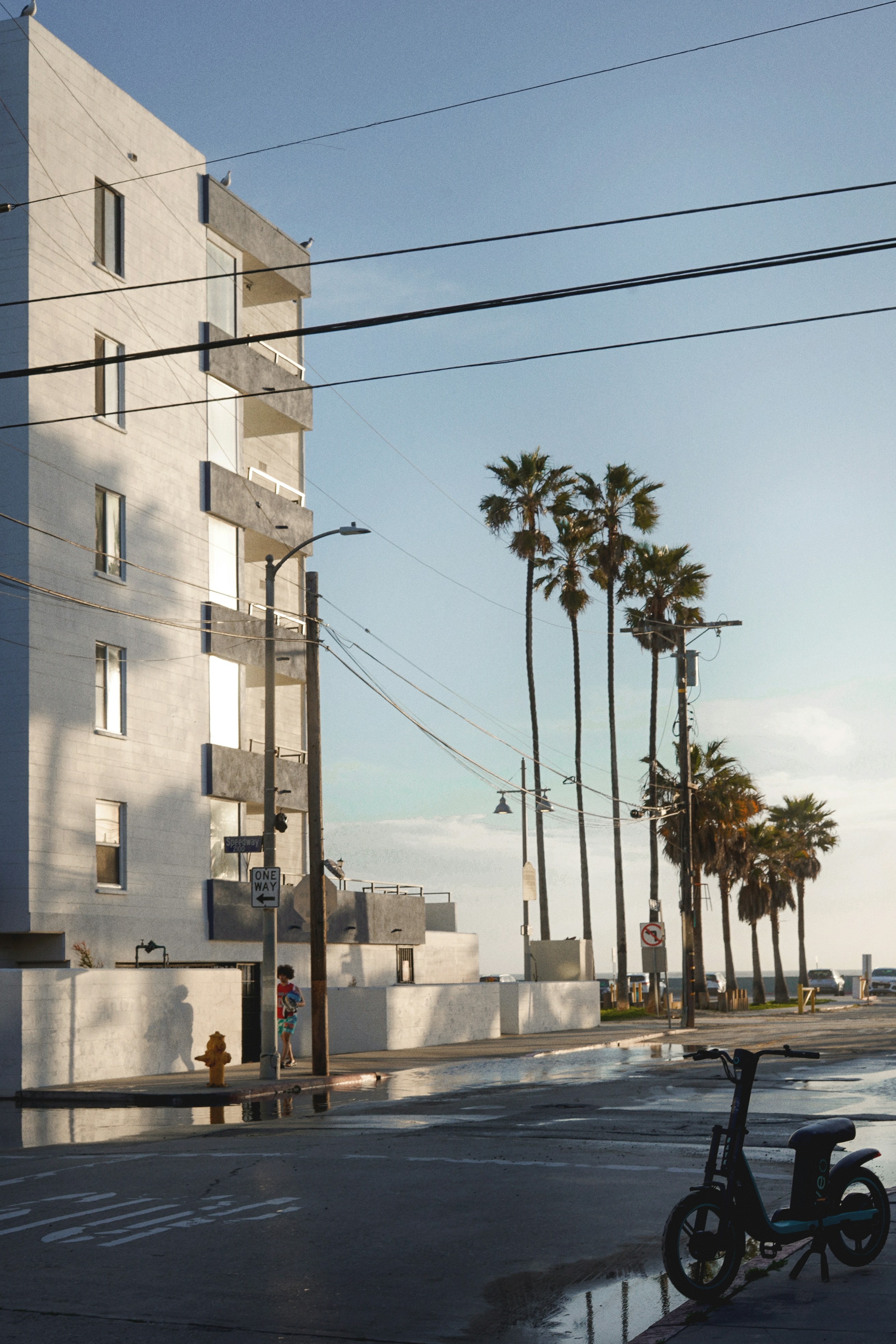 Palm-Lined Street by the Sea: Quiet Coastal Urban Light