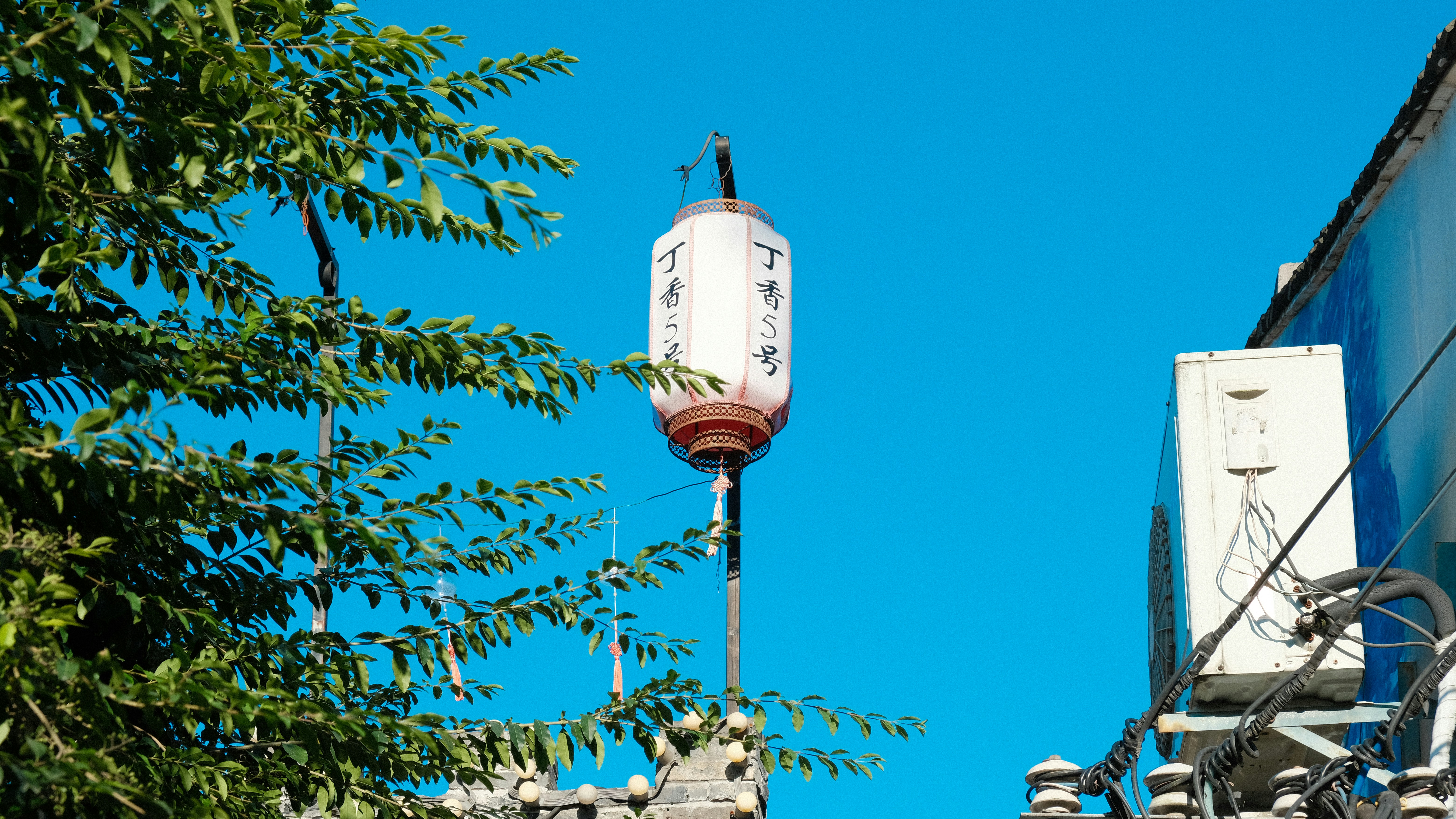 Photo by JP ZHANG with Fujifilm X-T30