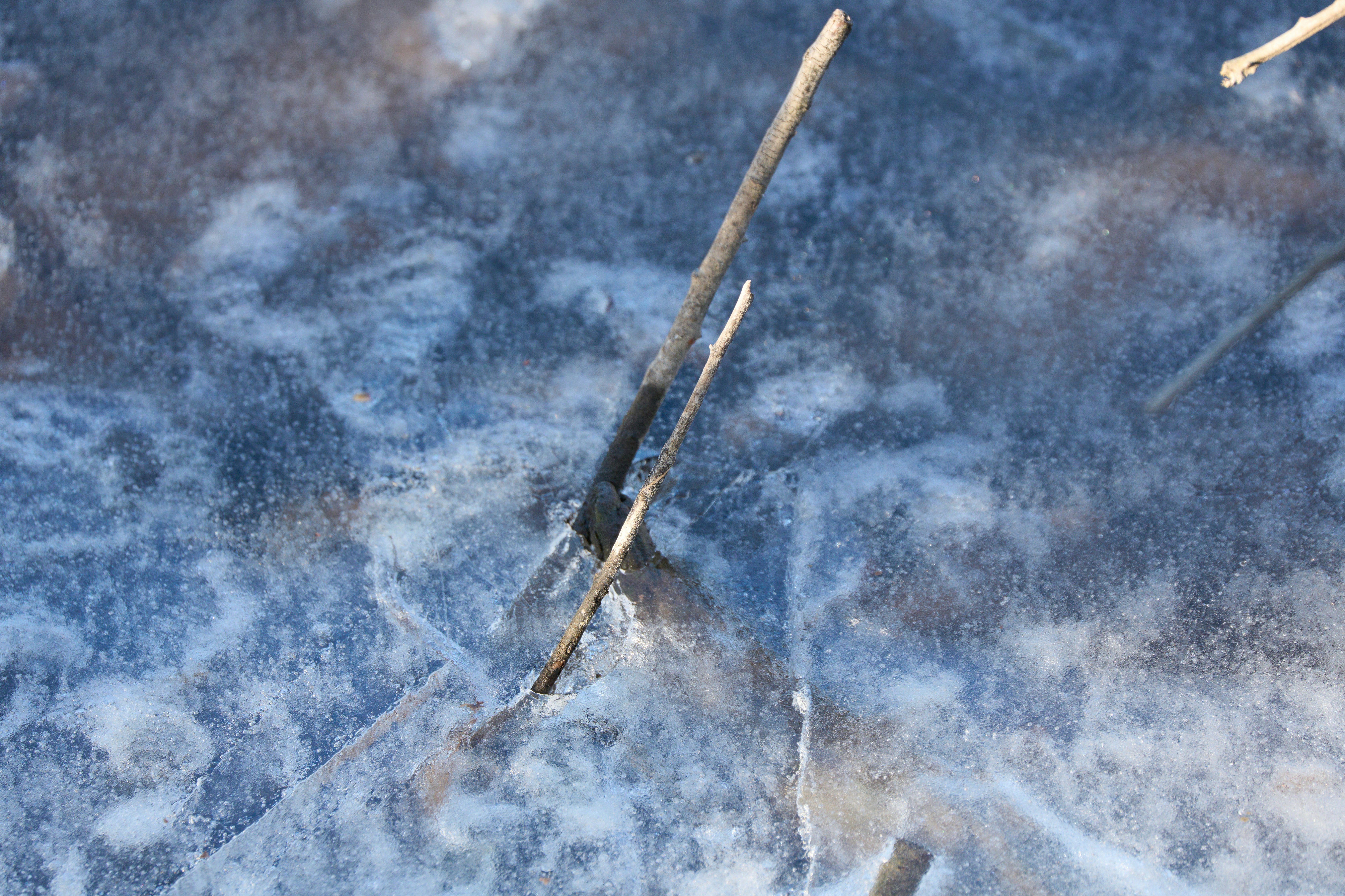 Photo by Wolfgang Hasselmann with Sony Alpha 7 IV