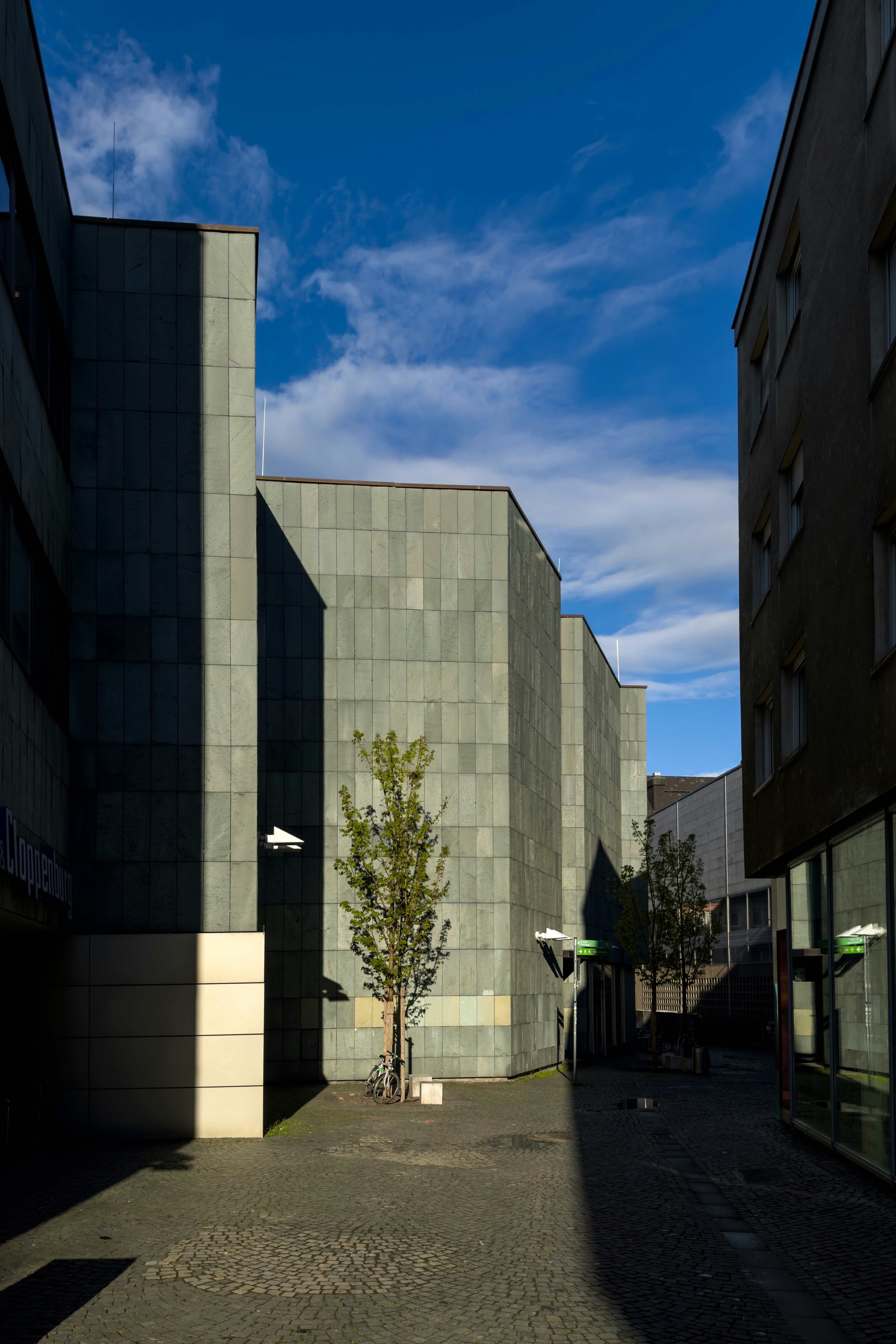 Slate-Walled Canyon: A Narrow Urban Gap Framed by Light and a Lone Tree