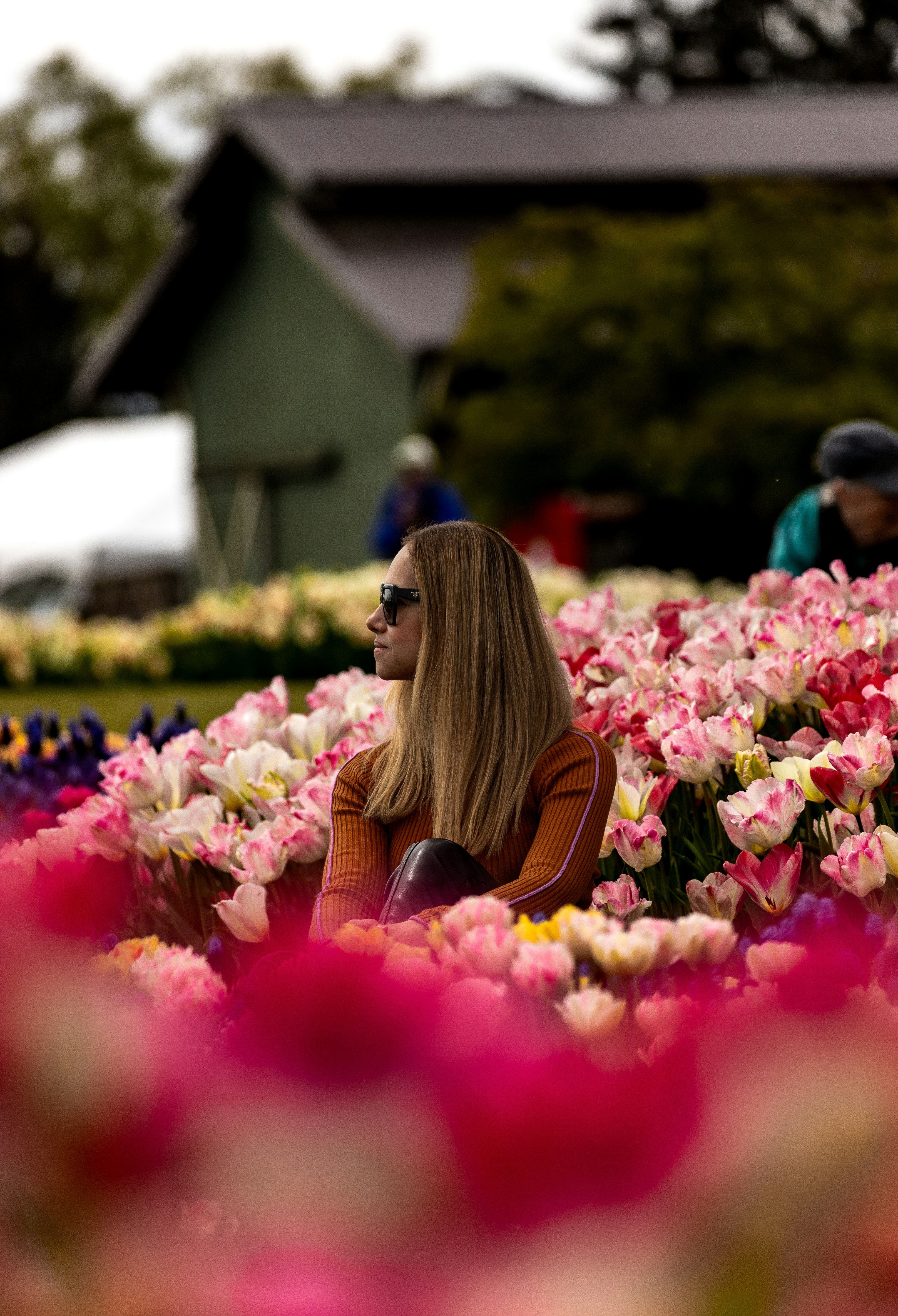 Tulip Quietude: Portrait Among Petals