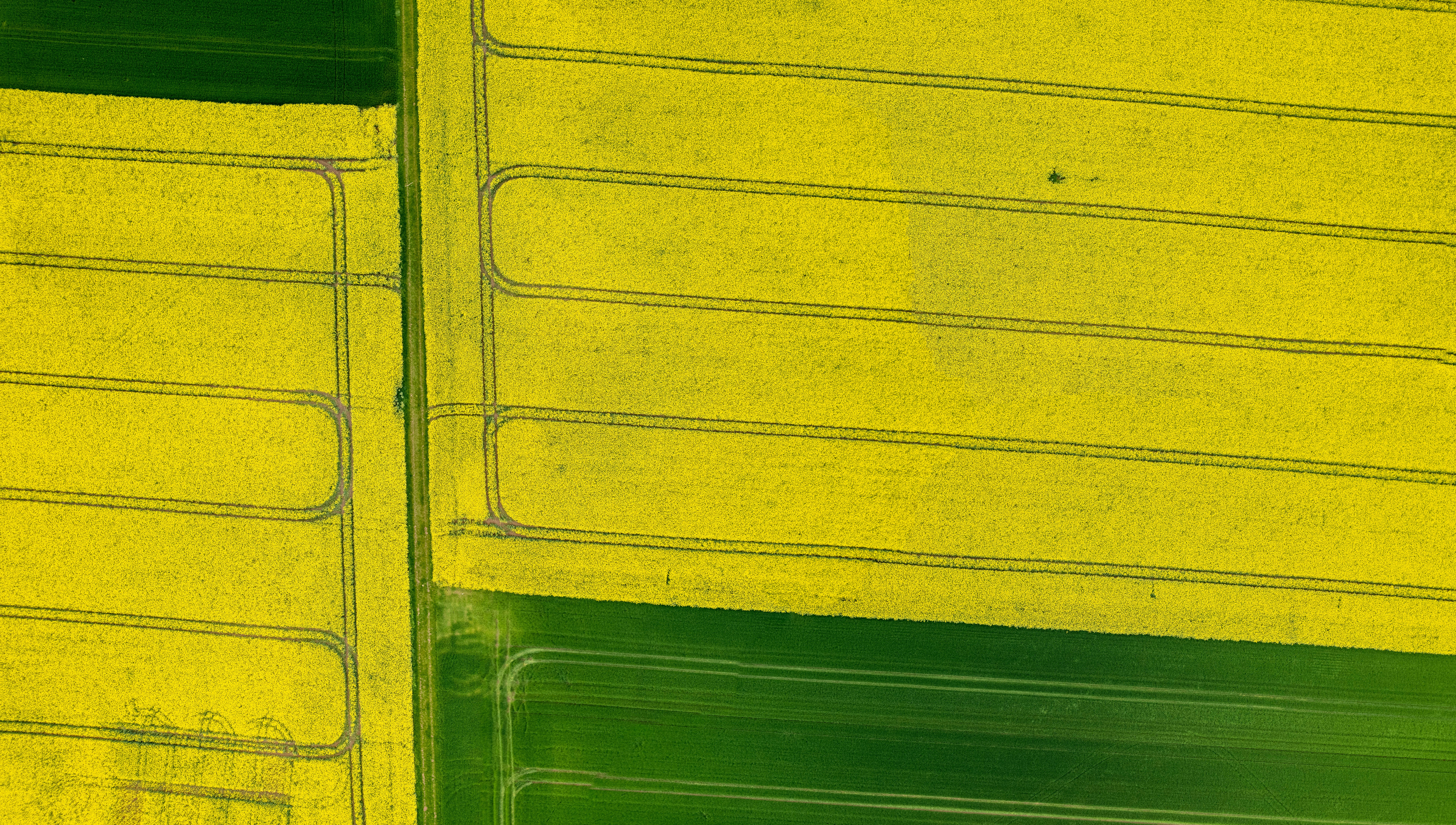 Photo by Bernd 📷 Dittrich with DJI Air 2S