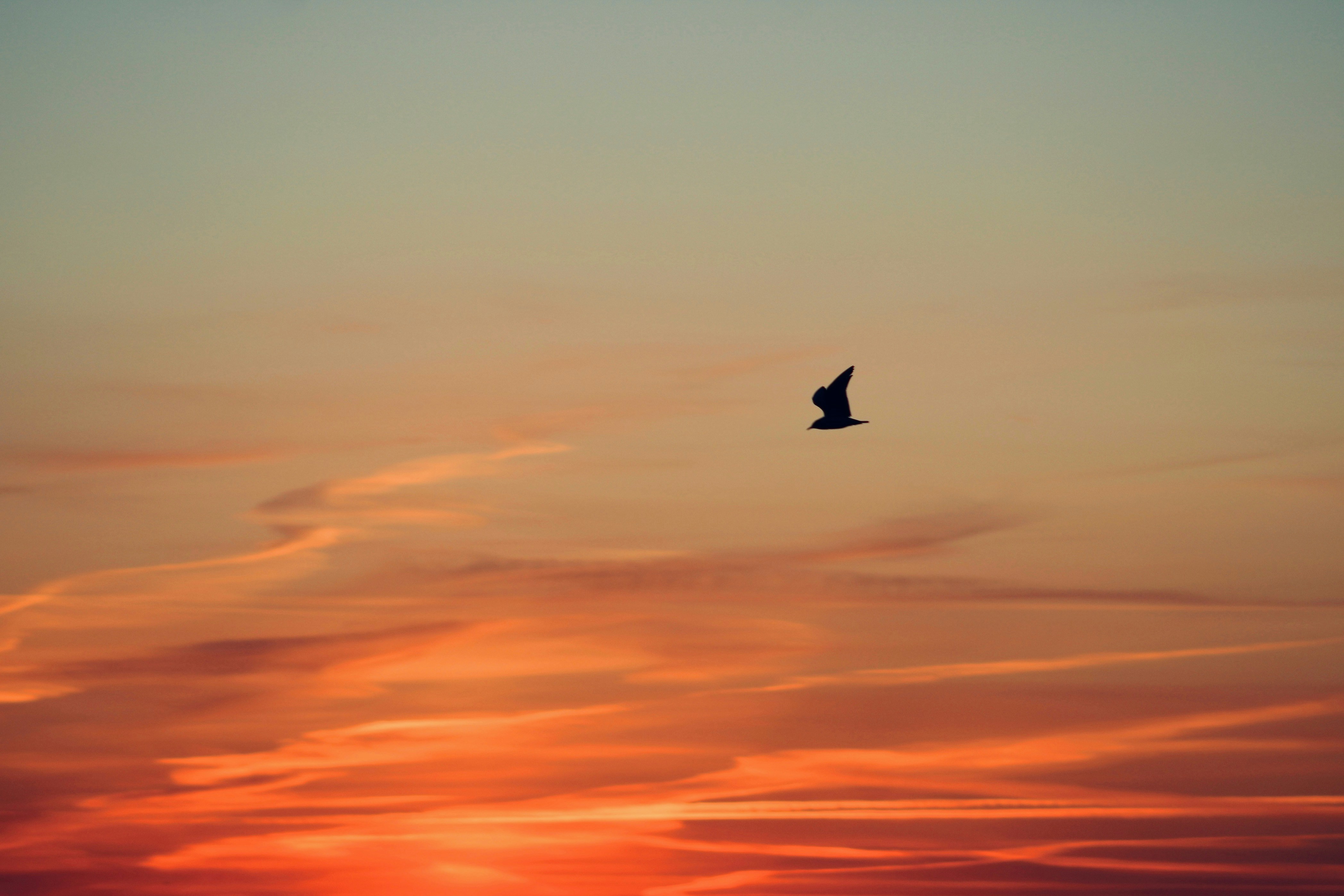 Photo by Laura Mann with Canon EOS 2000D