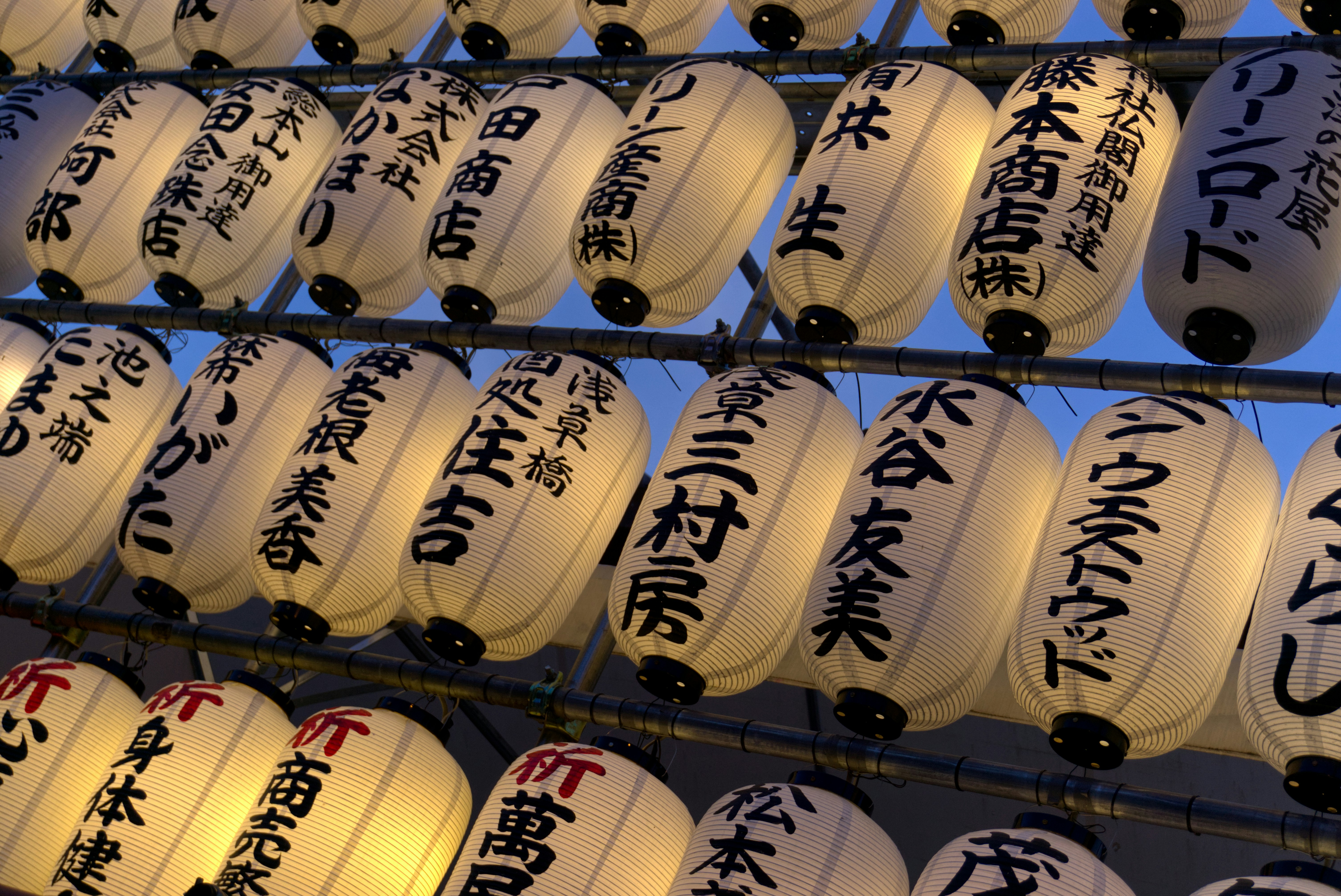 Lantern Lines: A Quiet Panorama of Japanese Paper Glow