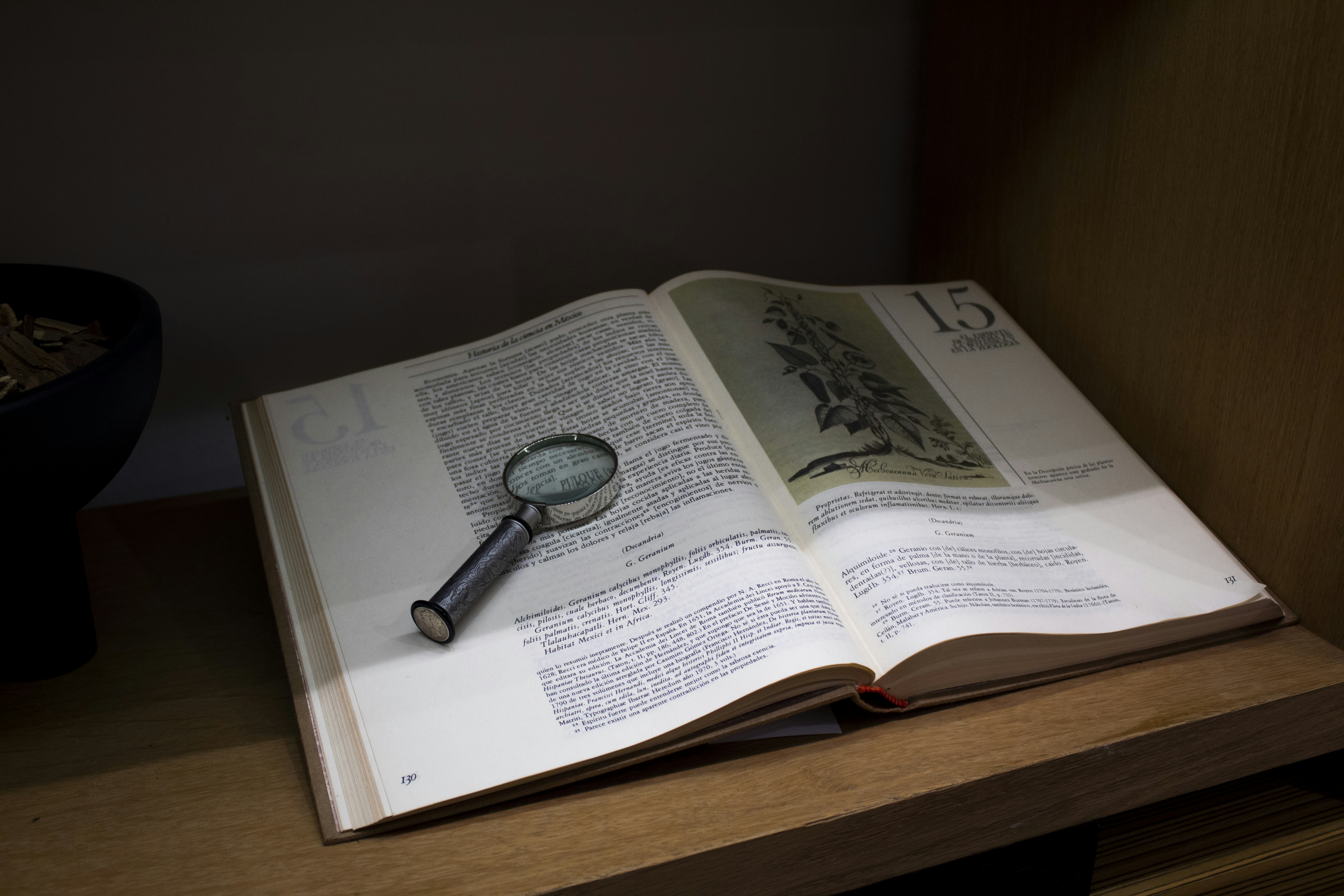 Ifs Books: Best Reads 2025