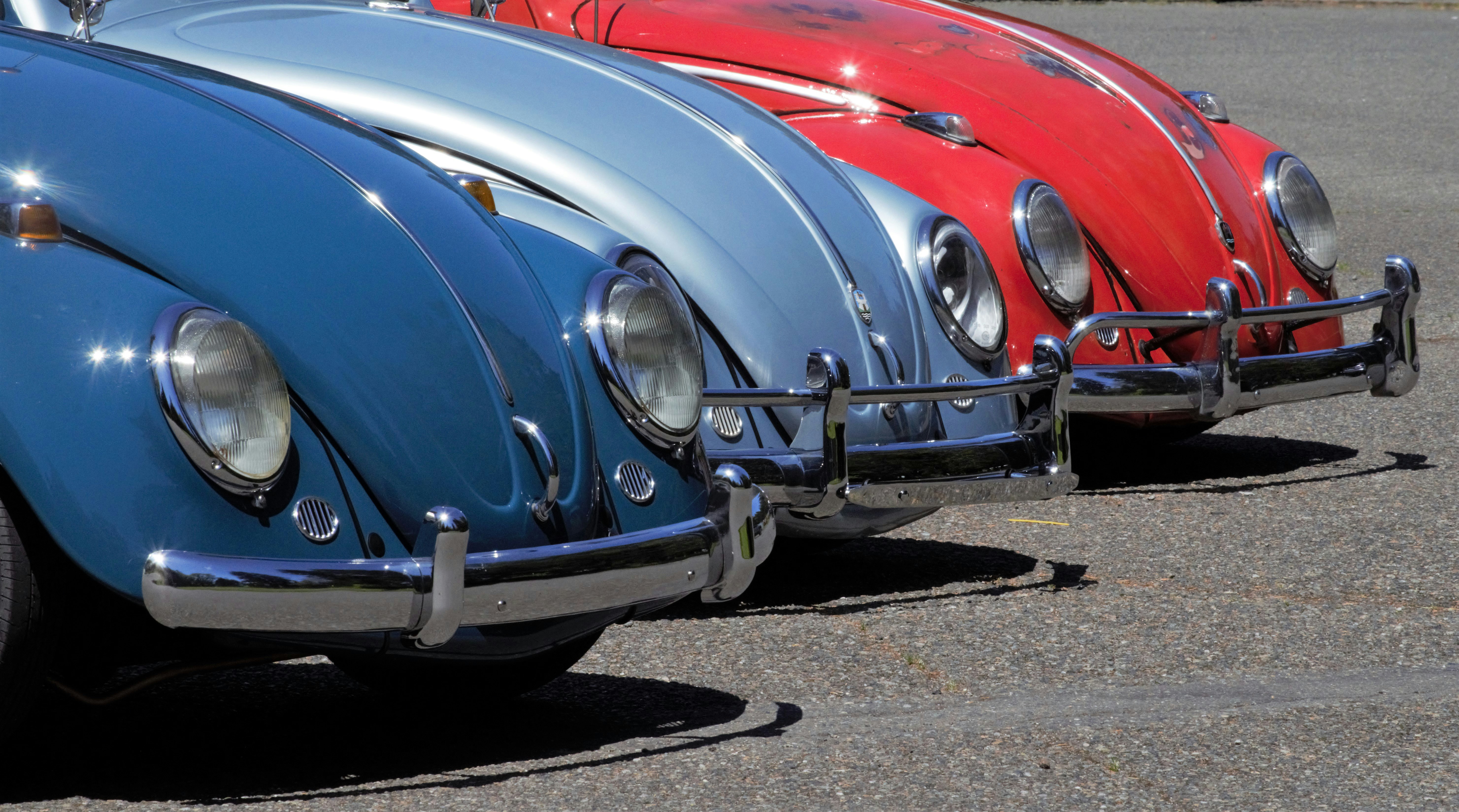 Row of Chrome and Color: Five Vintage VW Beetles Basking in Sunlight