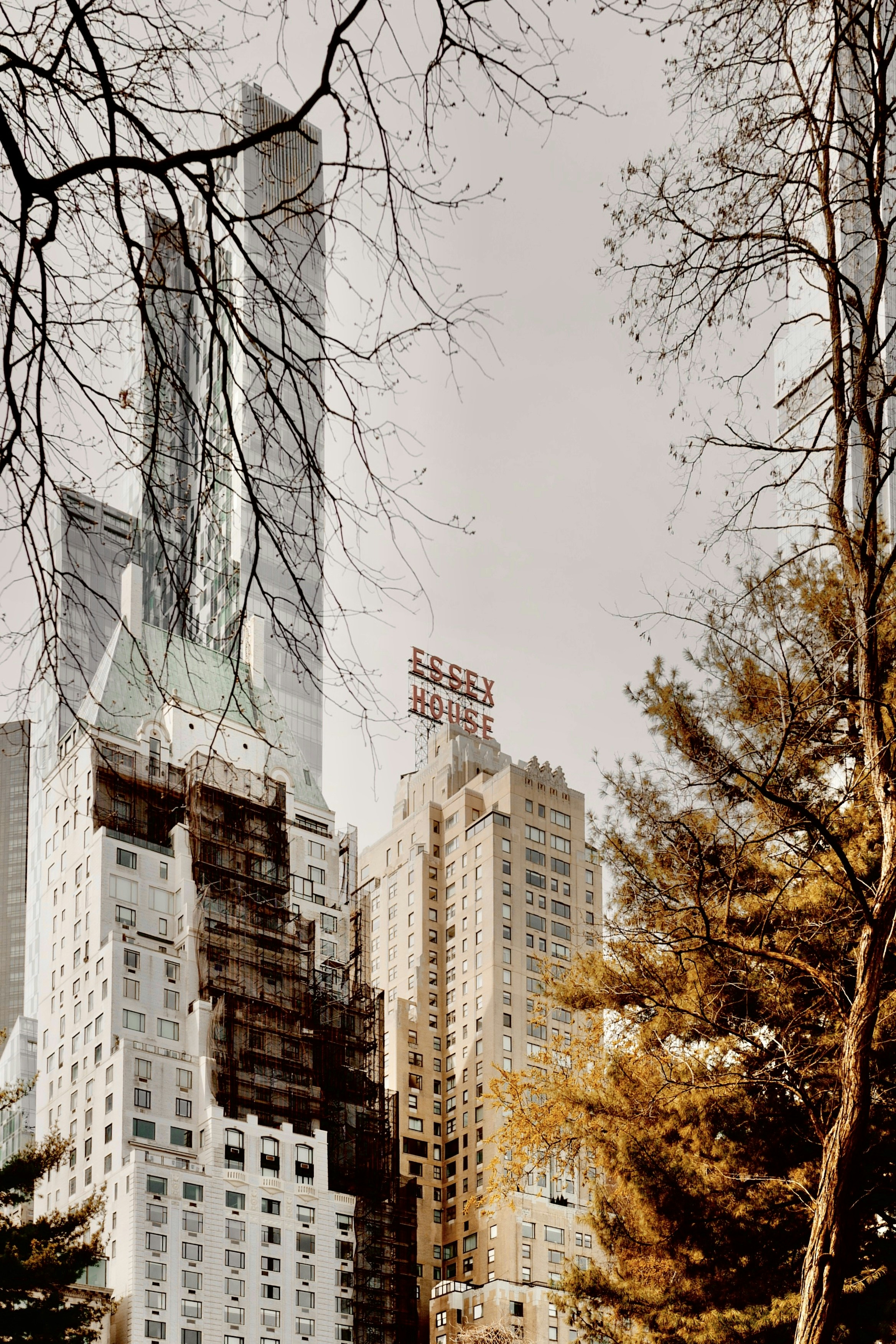 Framed Midtown: Essex House Among Bare Branches and Glass Towers