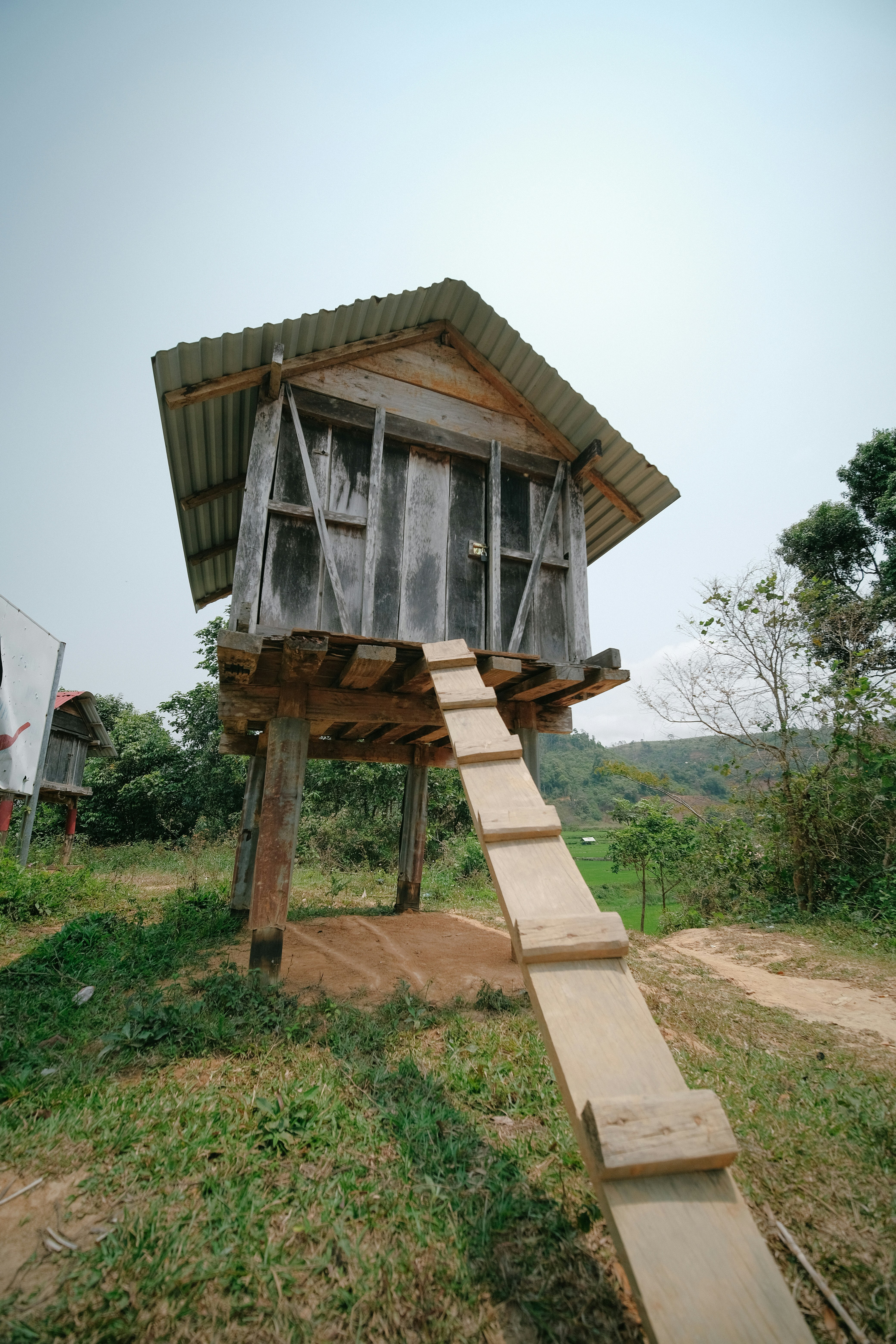 Stilted Outpost: A Weathered Cabin Reaches for the Sky