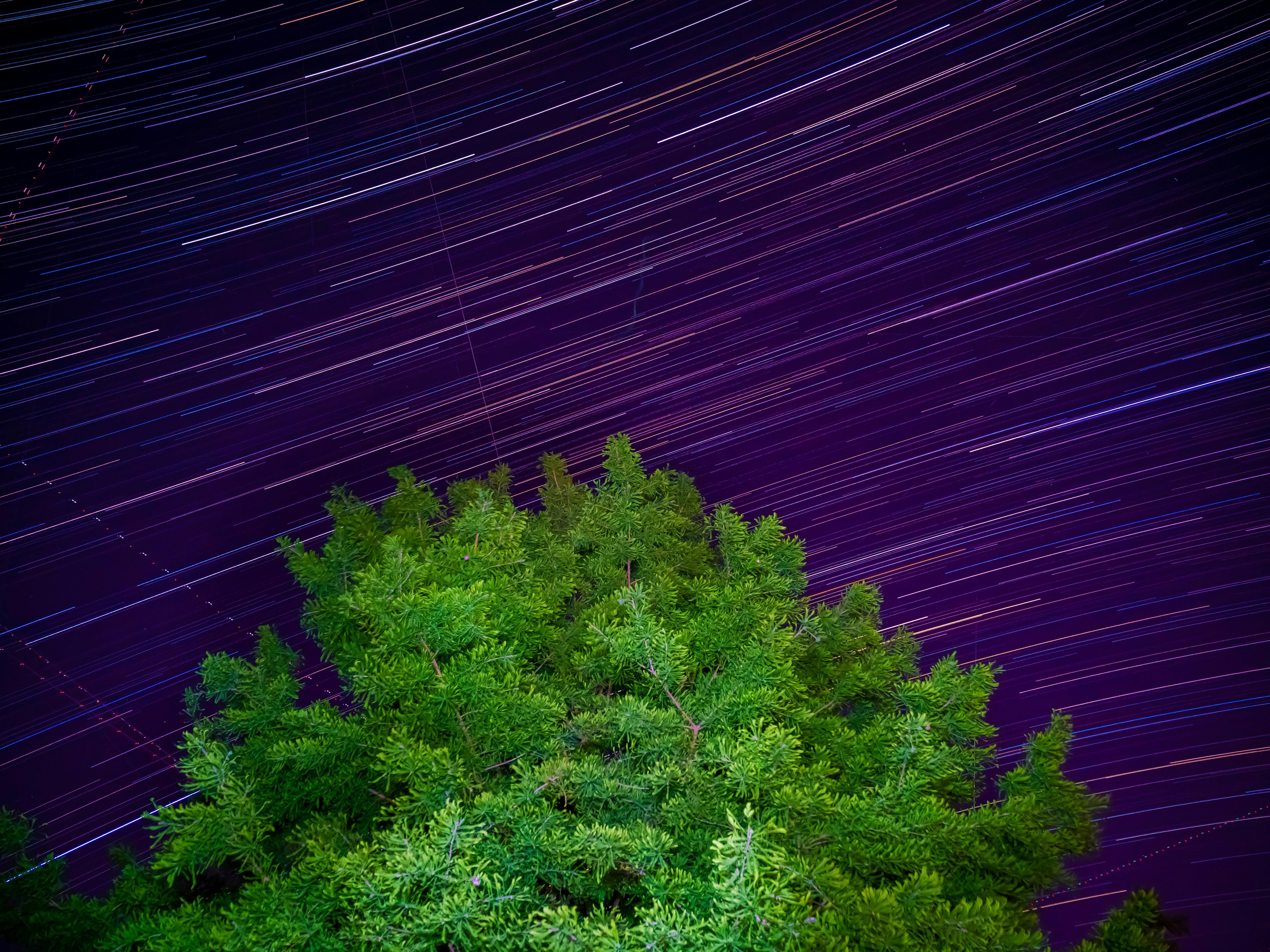 Photo by Idean Azad with Olympus OM-D E-M10 Mark IV