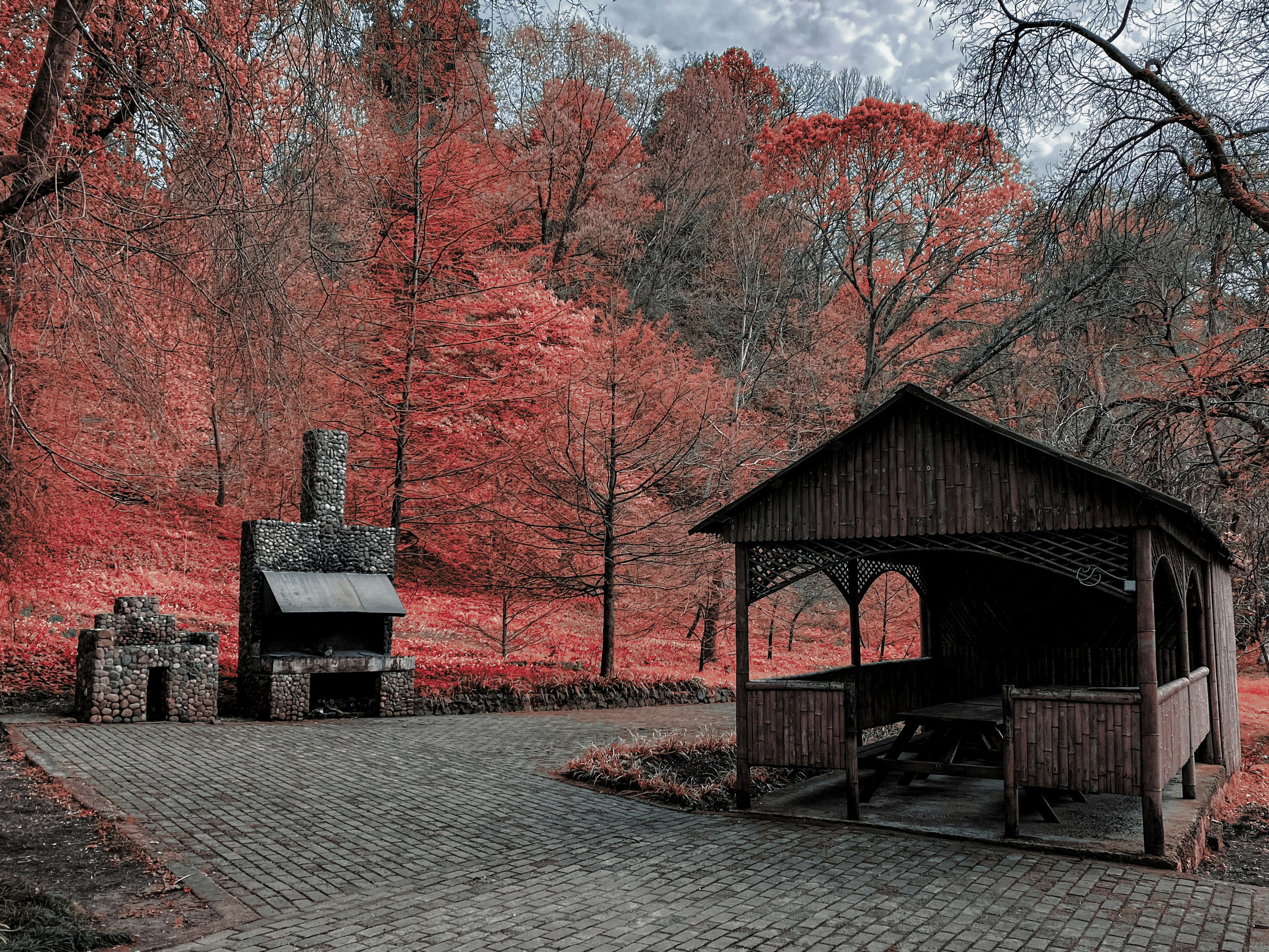 Crimson Canopy Refuge: Gazebo Framed by Red-Leaved Woods