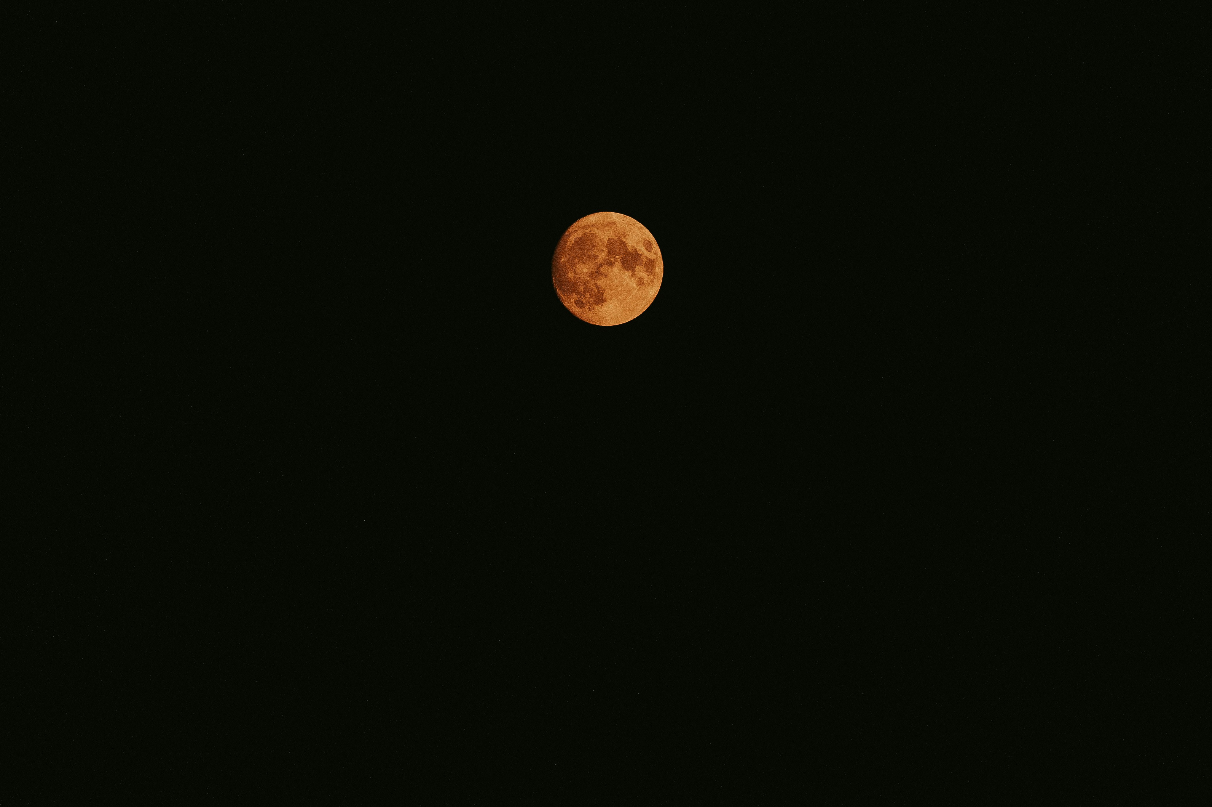 Lone Copper Moon Rising: A Quiet Night in Shadow