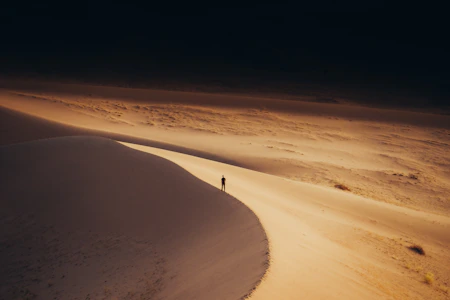 Solitary Journey Across Golden Dunes