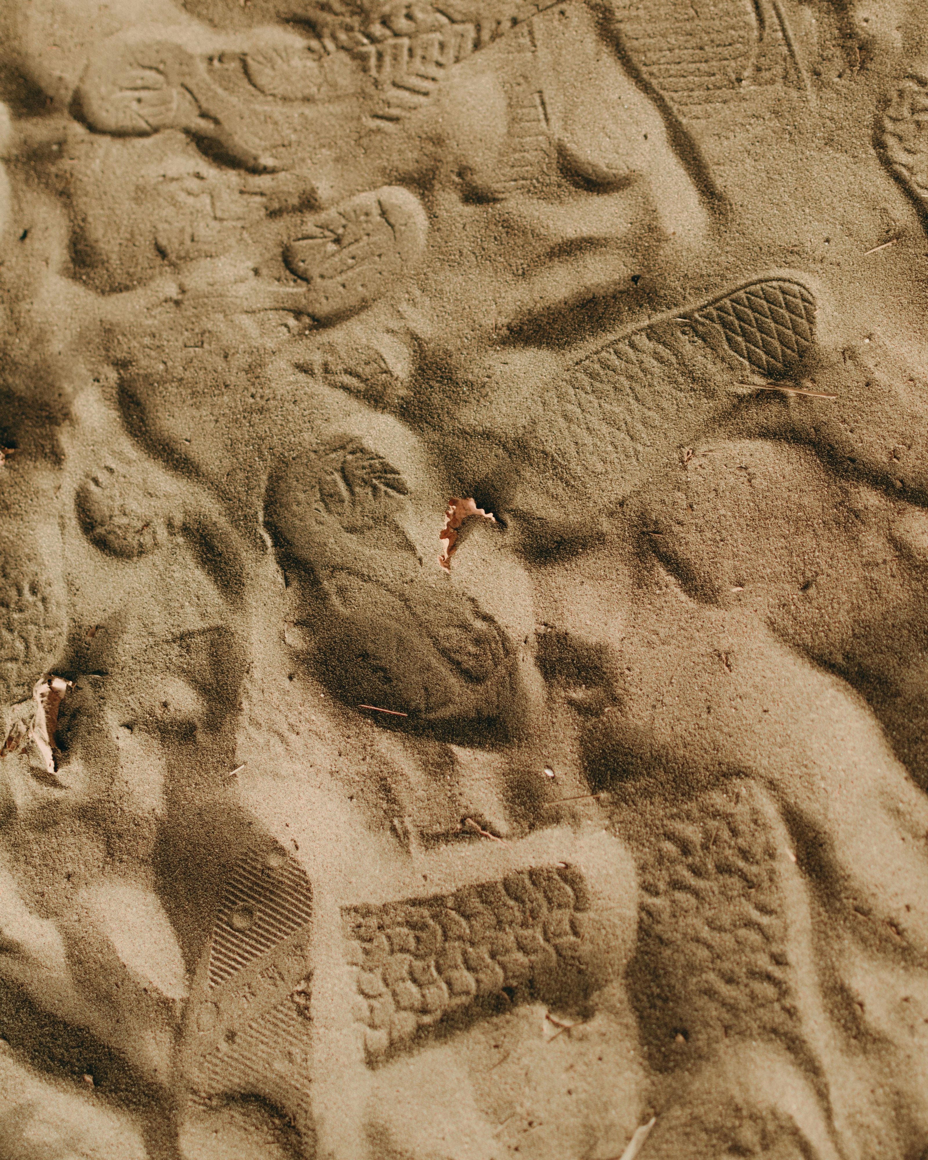 Scarlet Fragment Among Intricate Sand Bootprints