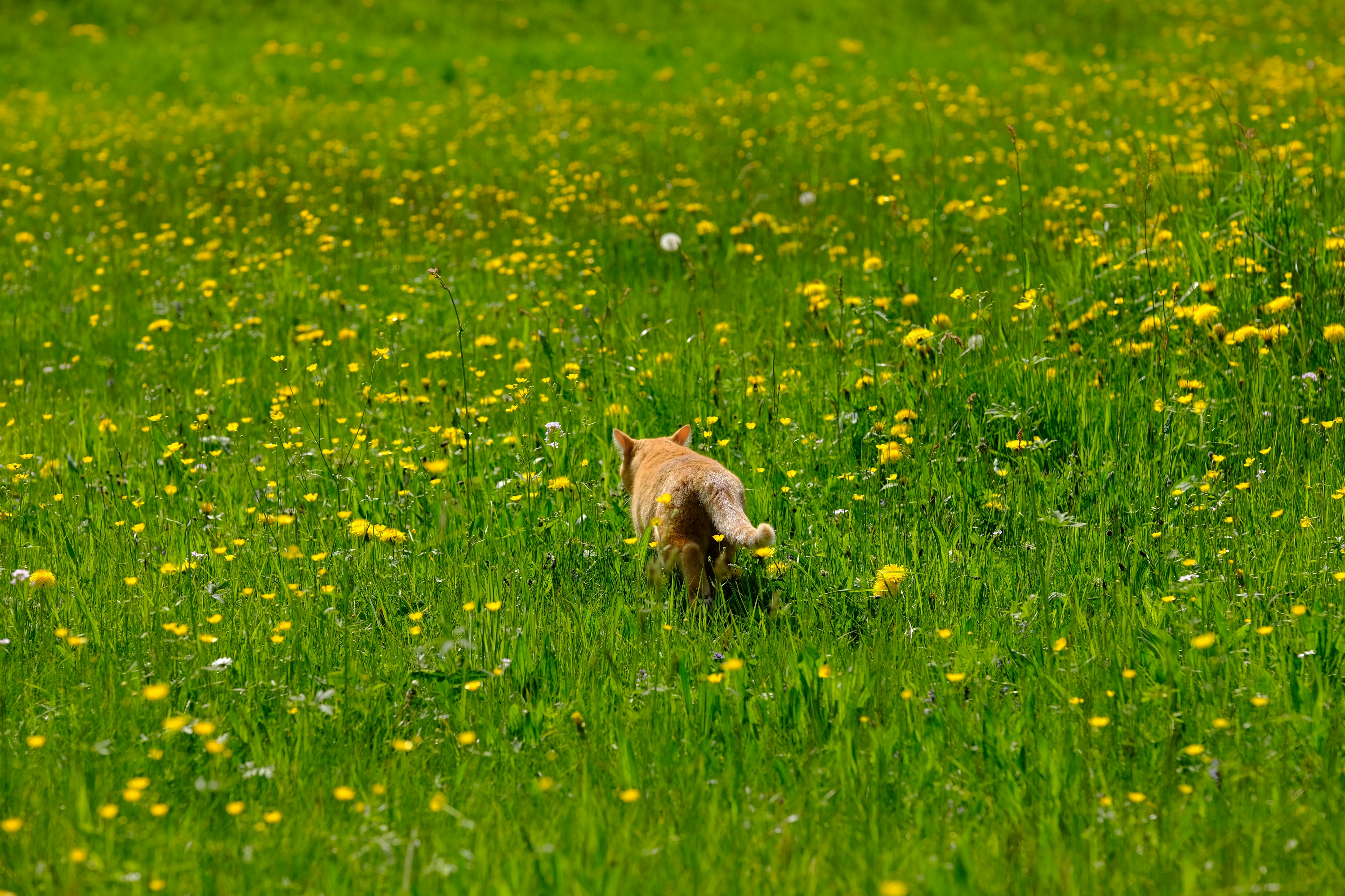 Photo by Oleksandr Zbanduto with Fujifilm X-T20