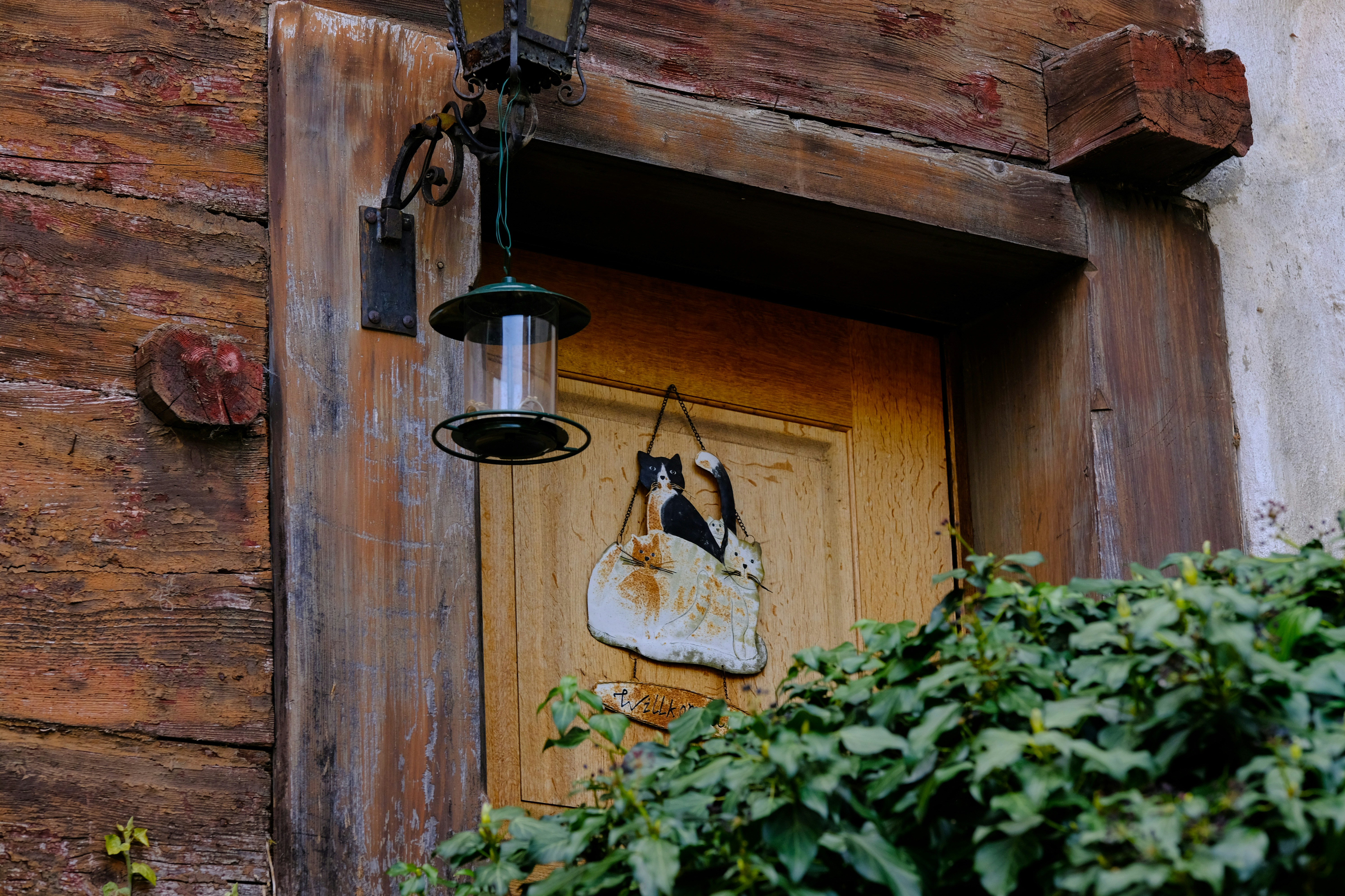 Lantern-Driven Threshold: A Weathered Door Framed by Ivy