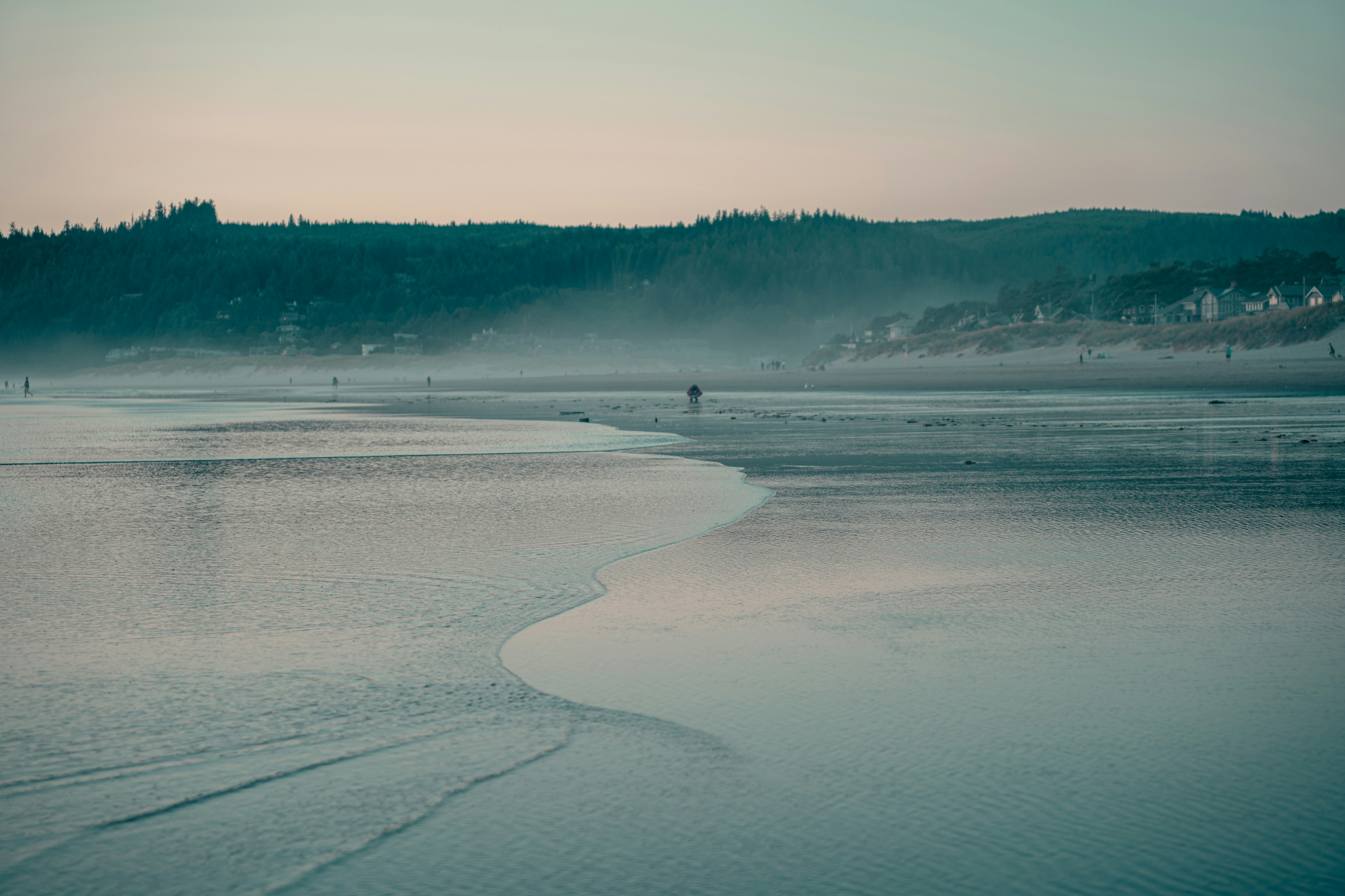 Beatch Pictures | Download Free Images on Unsplash