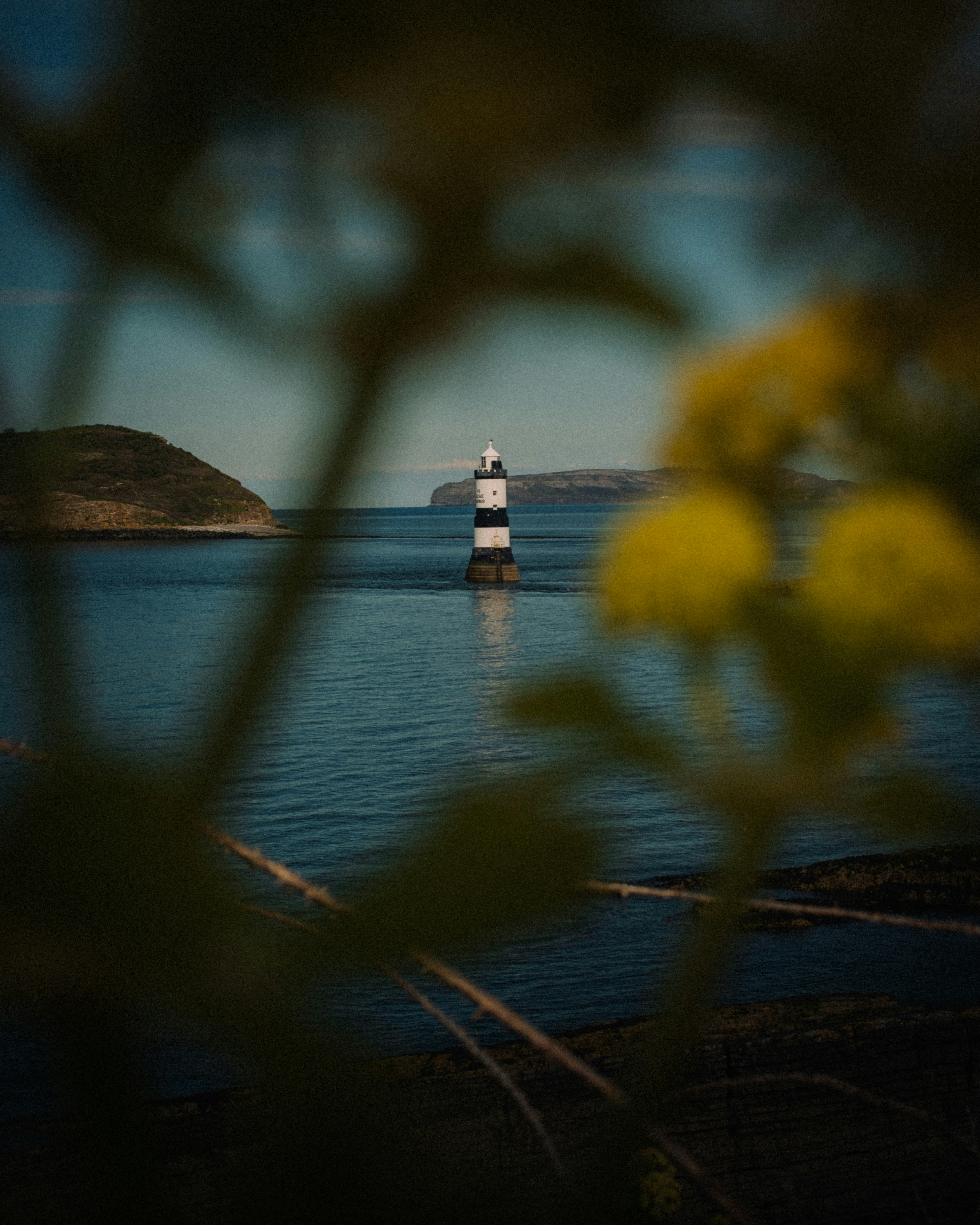 Lighthouse in Focus: A Quiet Strait Framed by Spring Blooms