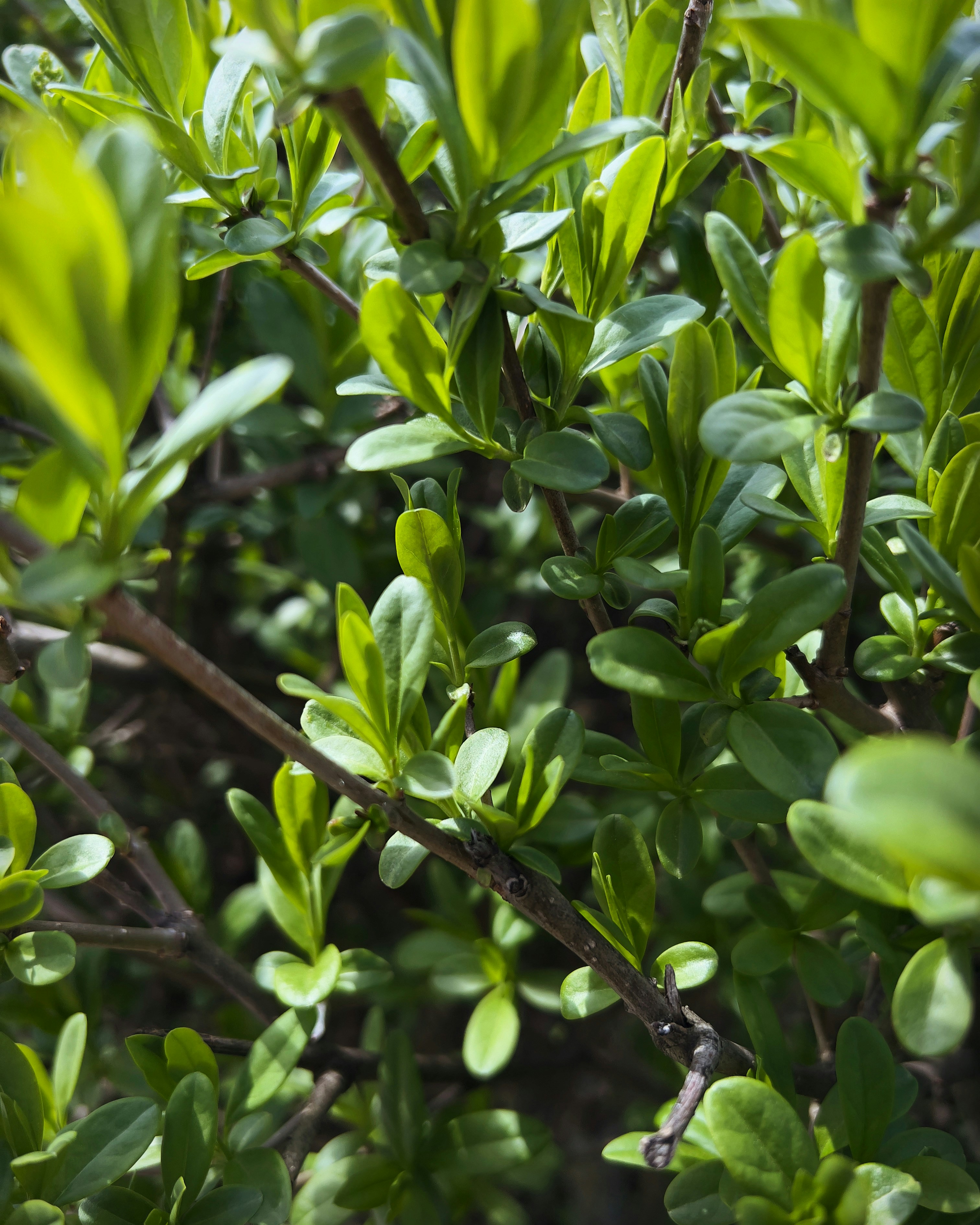 Dmitry Tarelkin (@dima_757) | Unsplash Photo Community