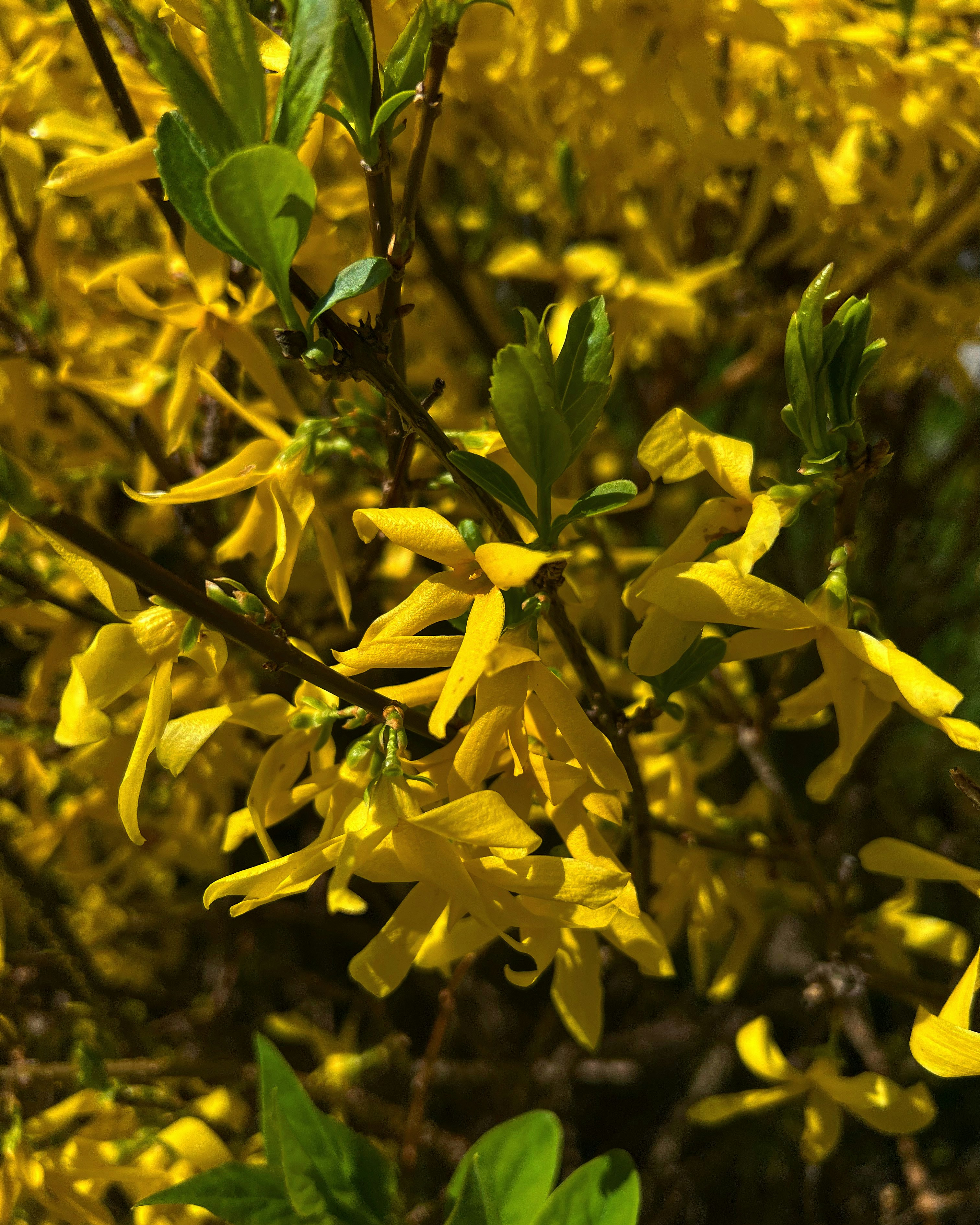 Dmitry Tarelkin (@dima_757) | Unsplash Photo Community