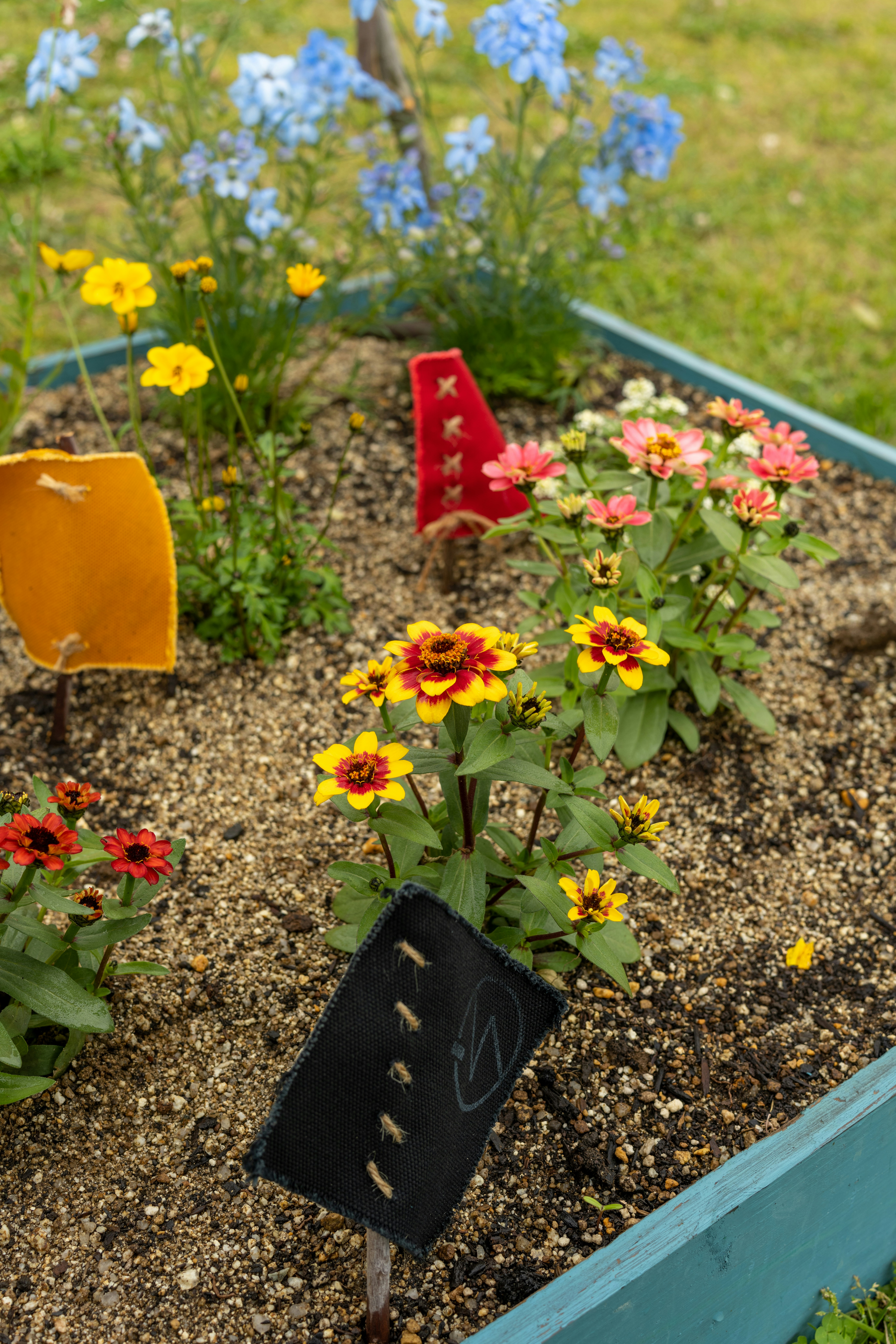 Colorful Garden Tags: A Row of Sunny Blooms and Worn Mulching Cards