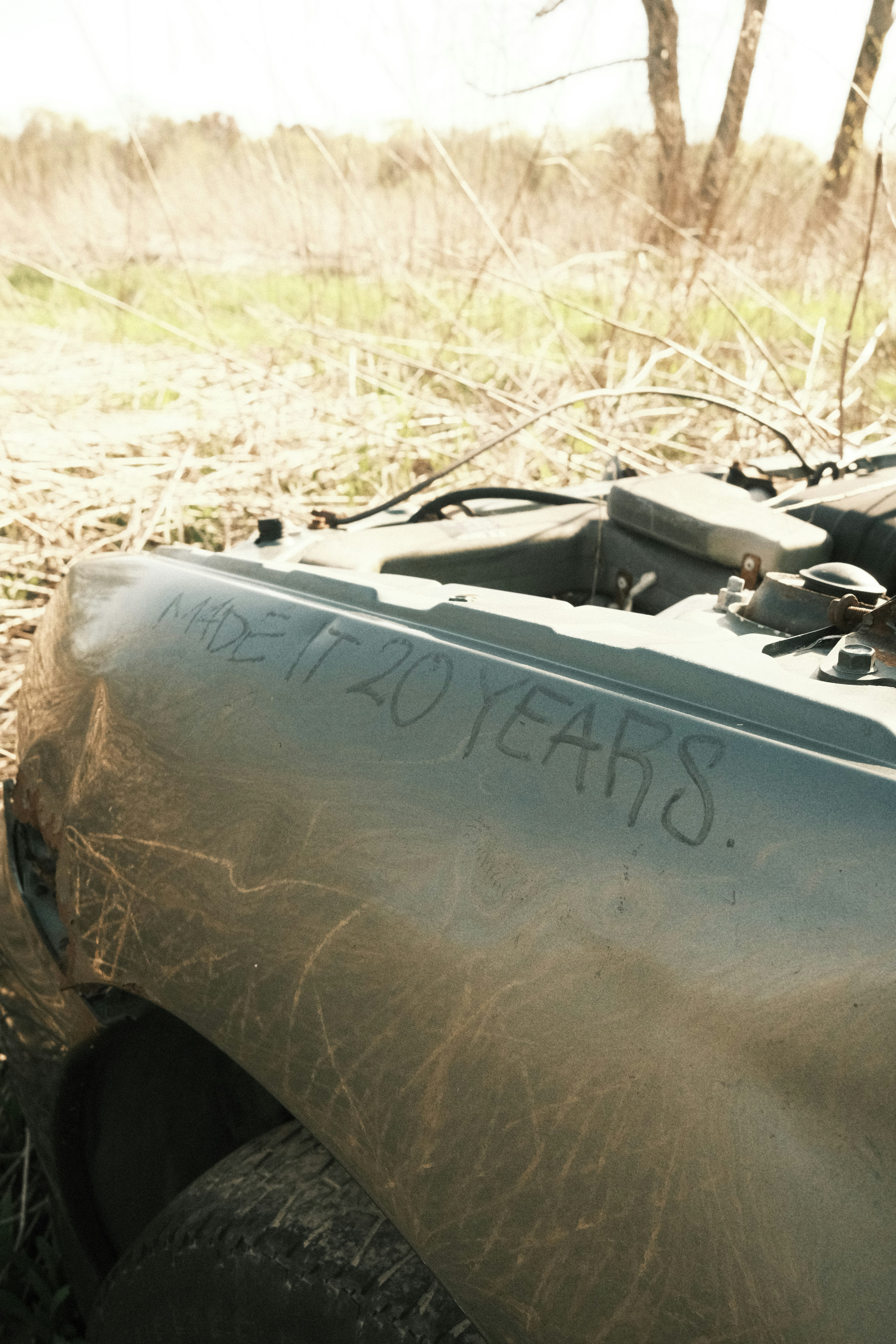 Inscription on a Weathered Hull: '20 YEARS' Echoes Across a Sunlit Field