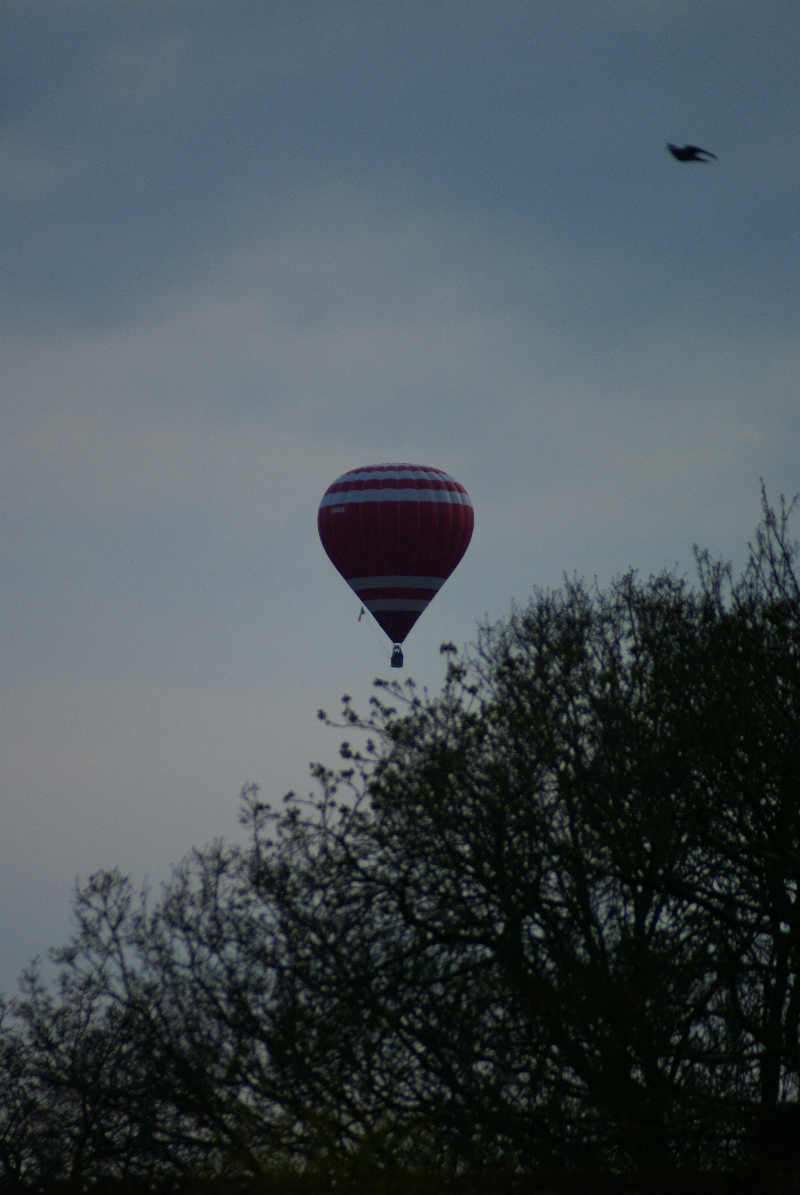 Crimson Balloon Drifts Over a Shadowed Forest at Dusk
