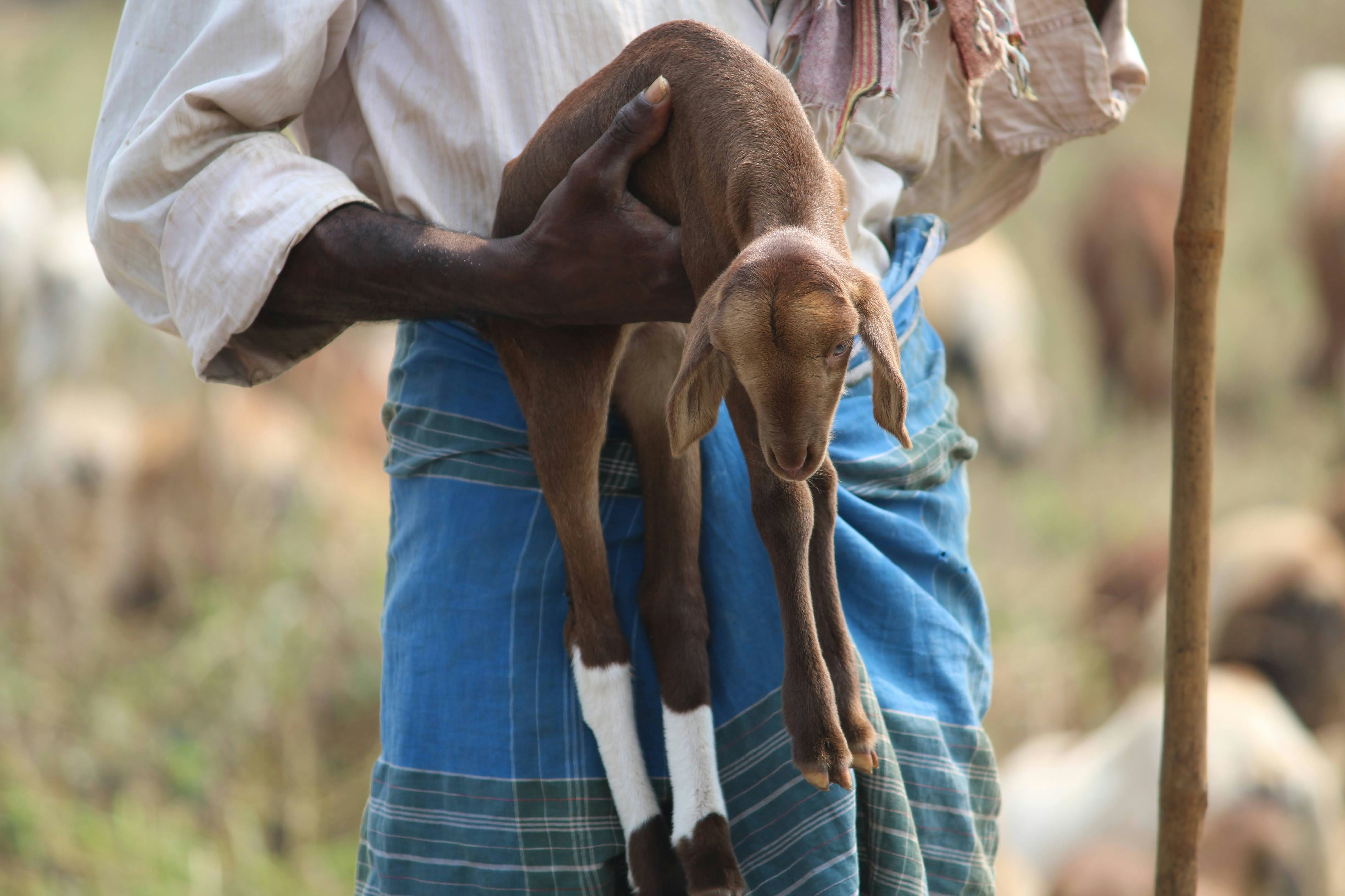 Cradled Kid in a Blue-Wrapped Hold: A Quiet Rural Moment