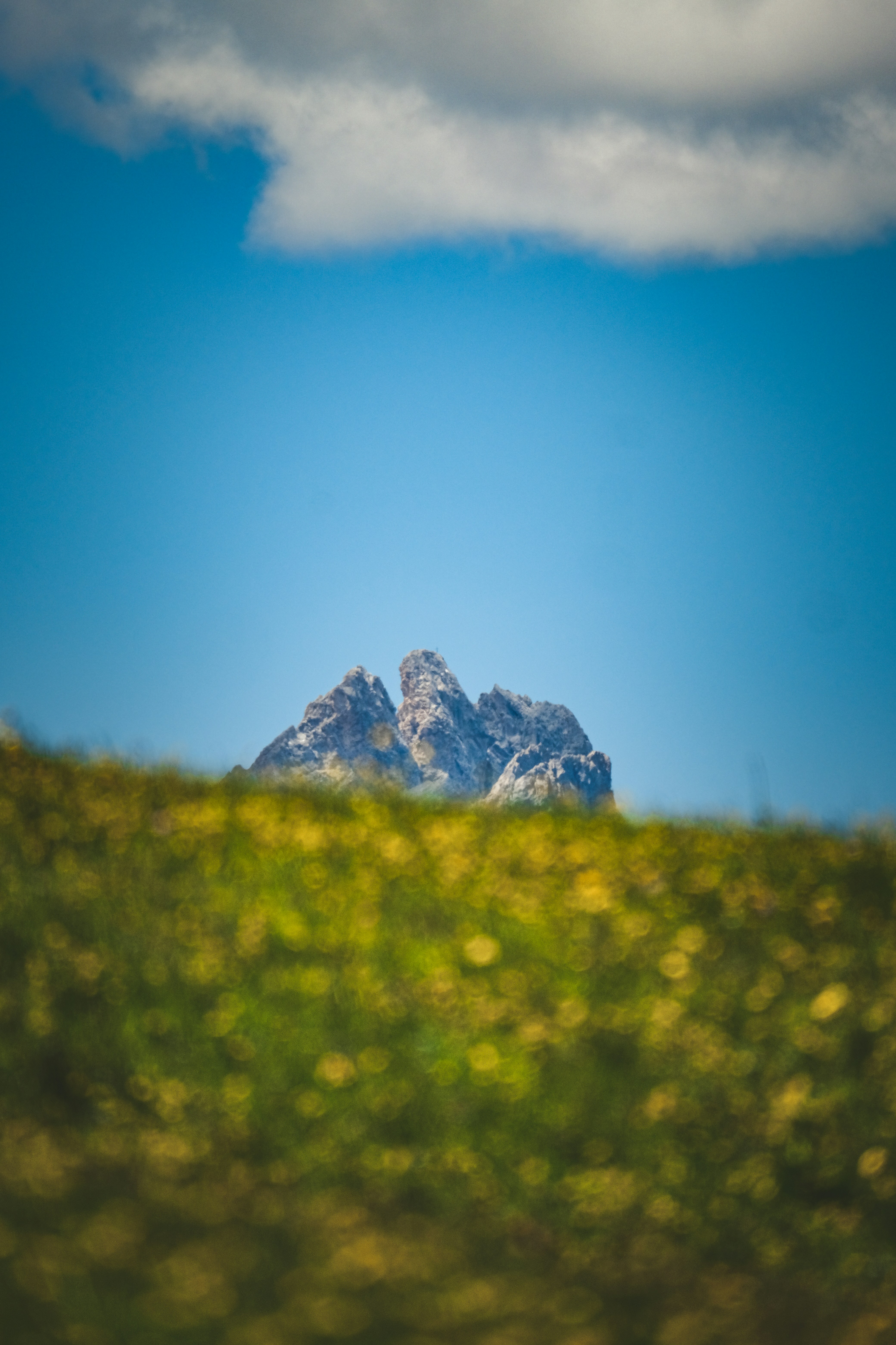 Peak Emergence Over a Golden Sea