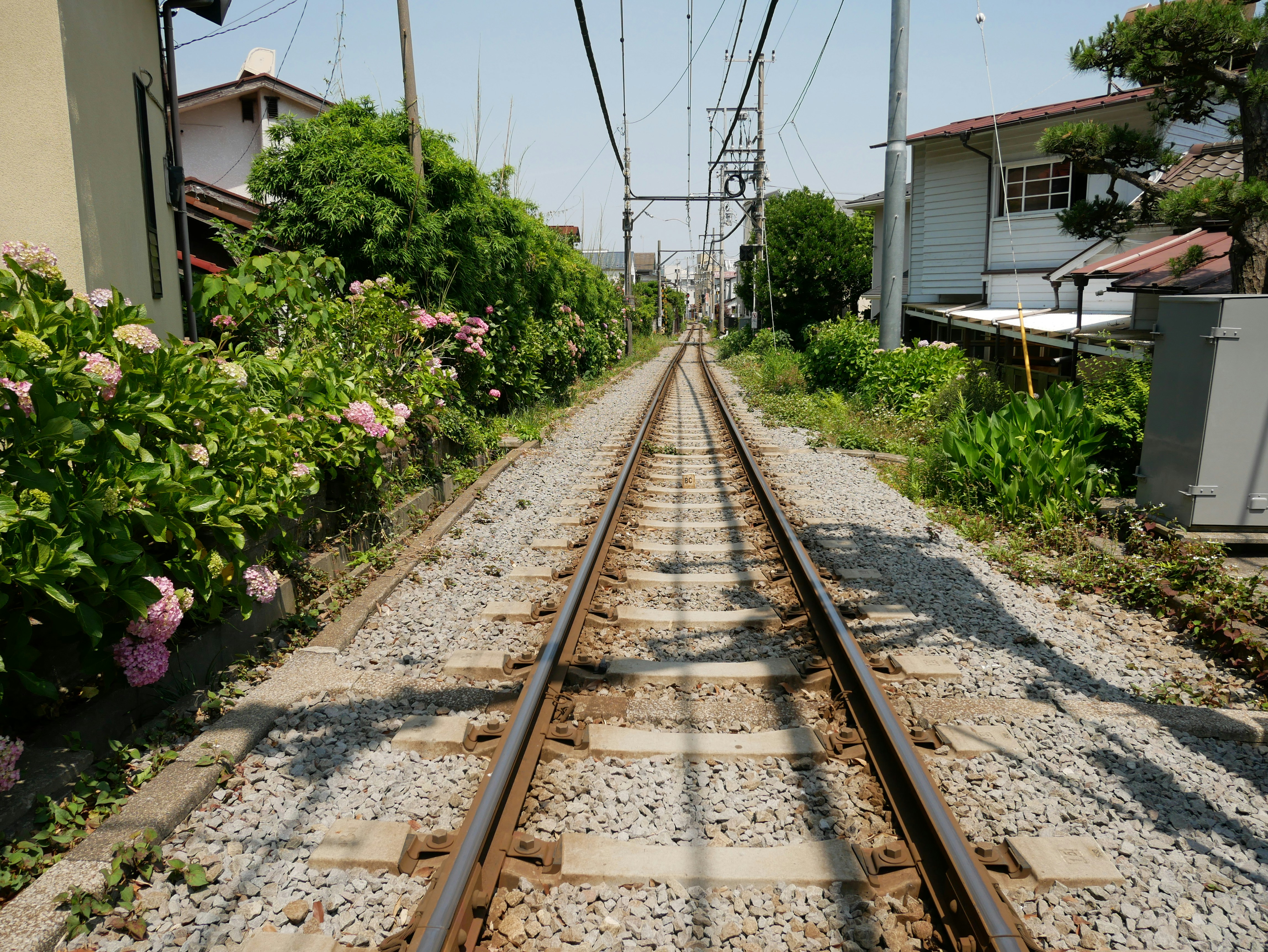 Photo by Mmoka . with Panasonic Lumix GF9