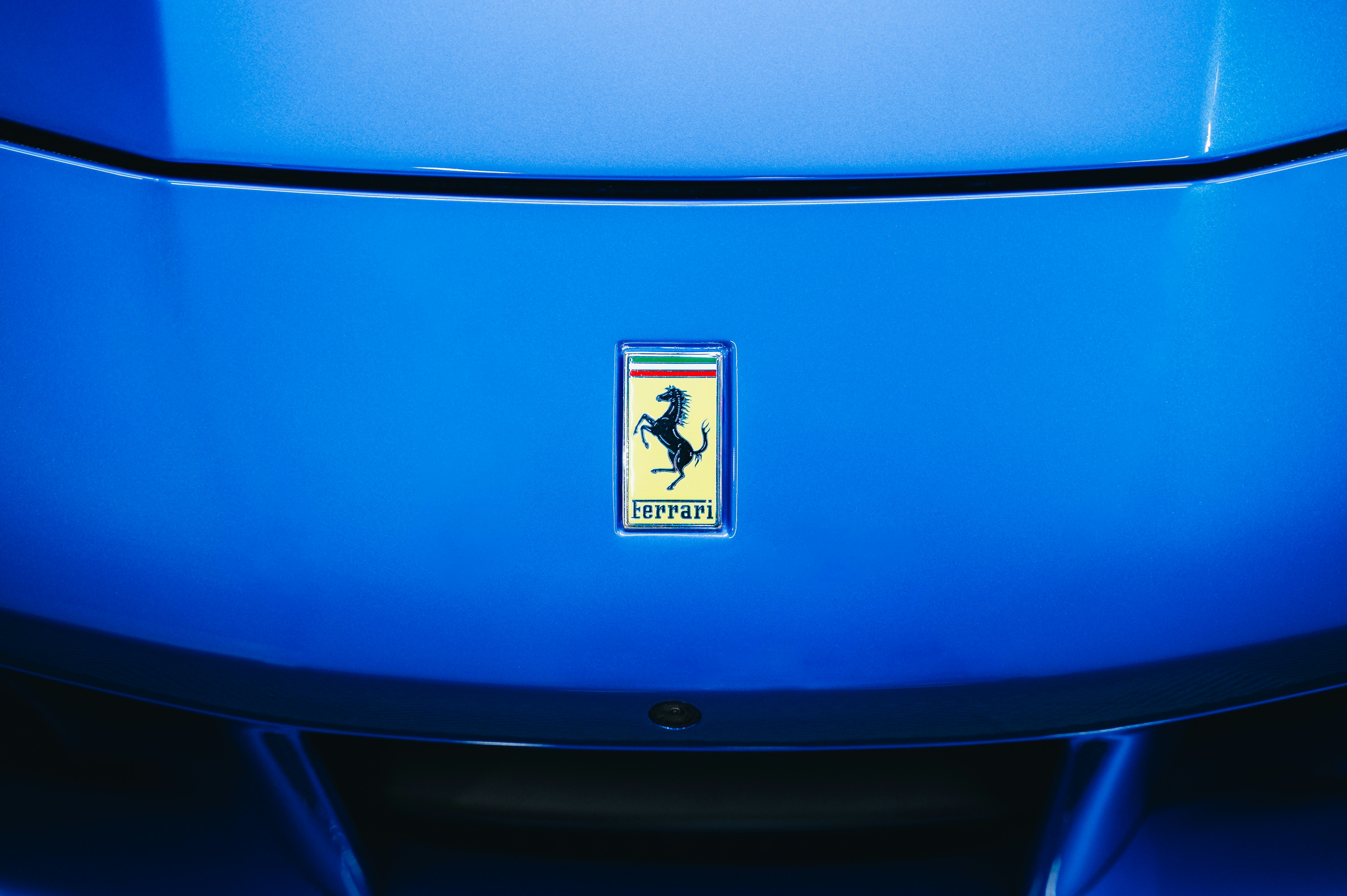Pristine Ferrari Badge Anchored by Rich Blue Curves