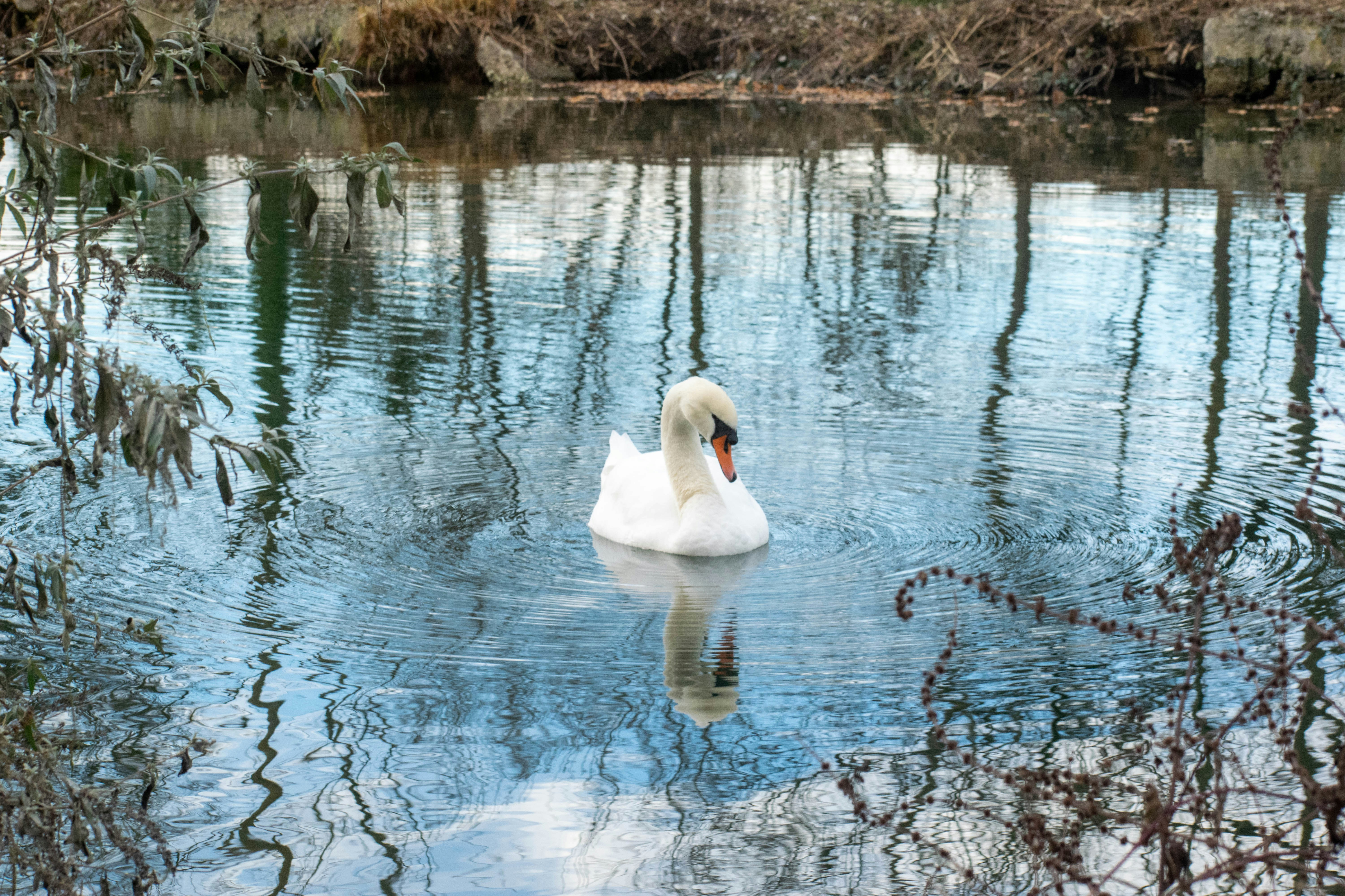 Photo by Madalina Z with Nikon D5300