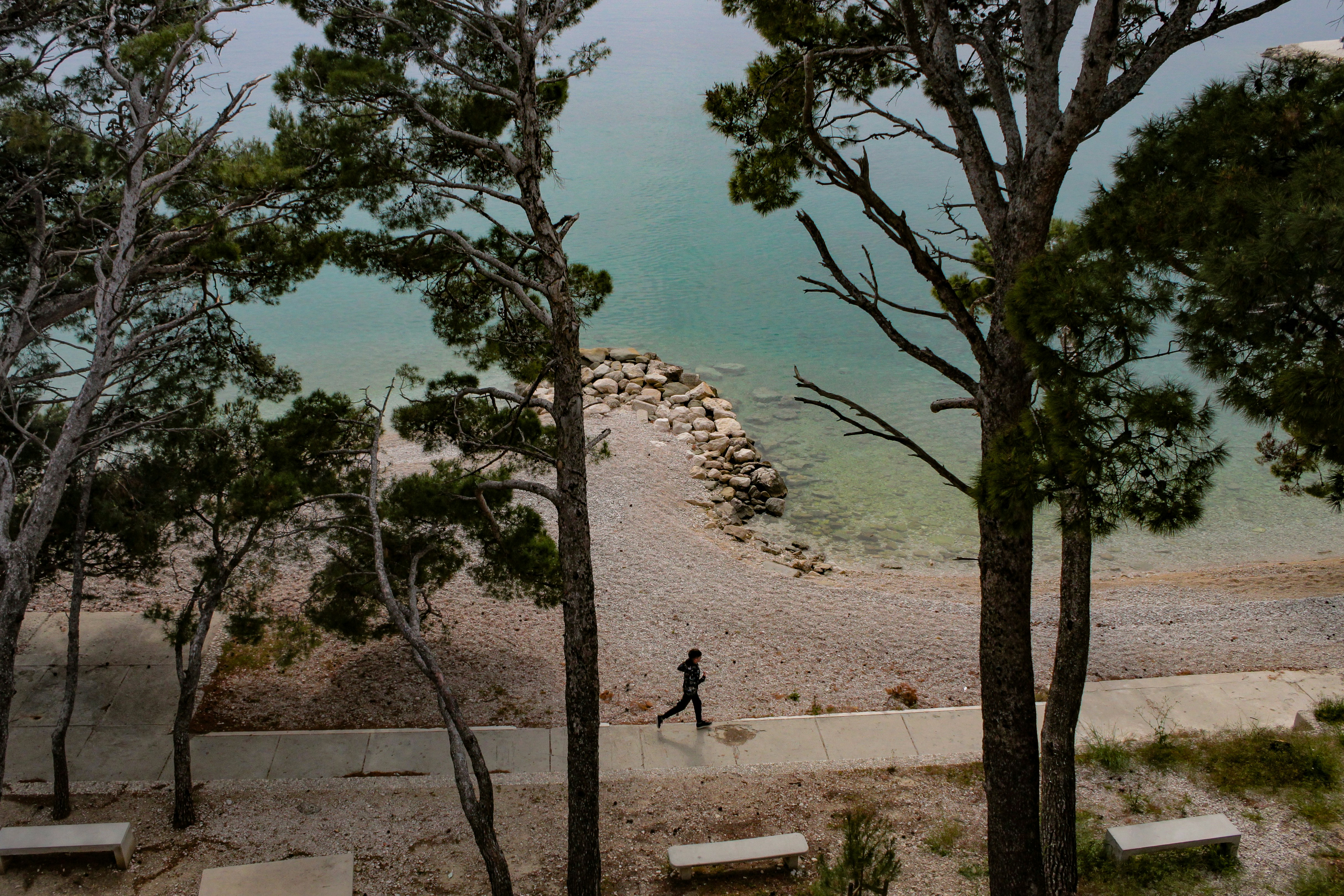 Turquoise Shoreline, Pine-Framed: A Lone Walker Along the Lakeside Path