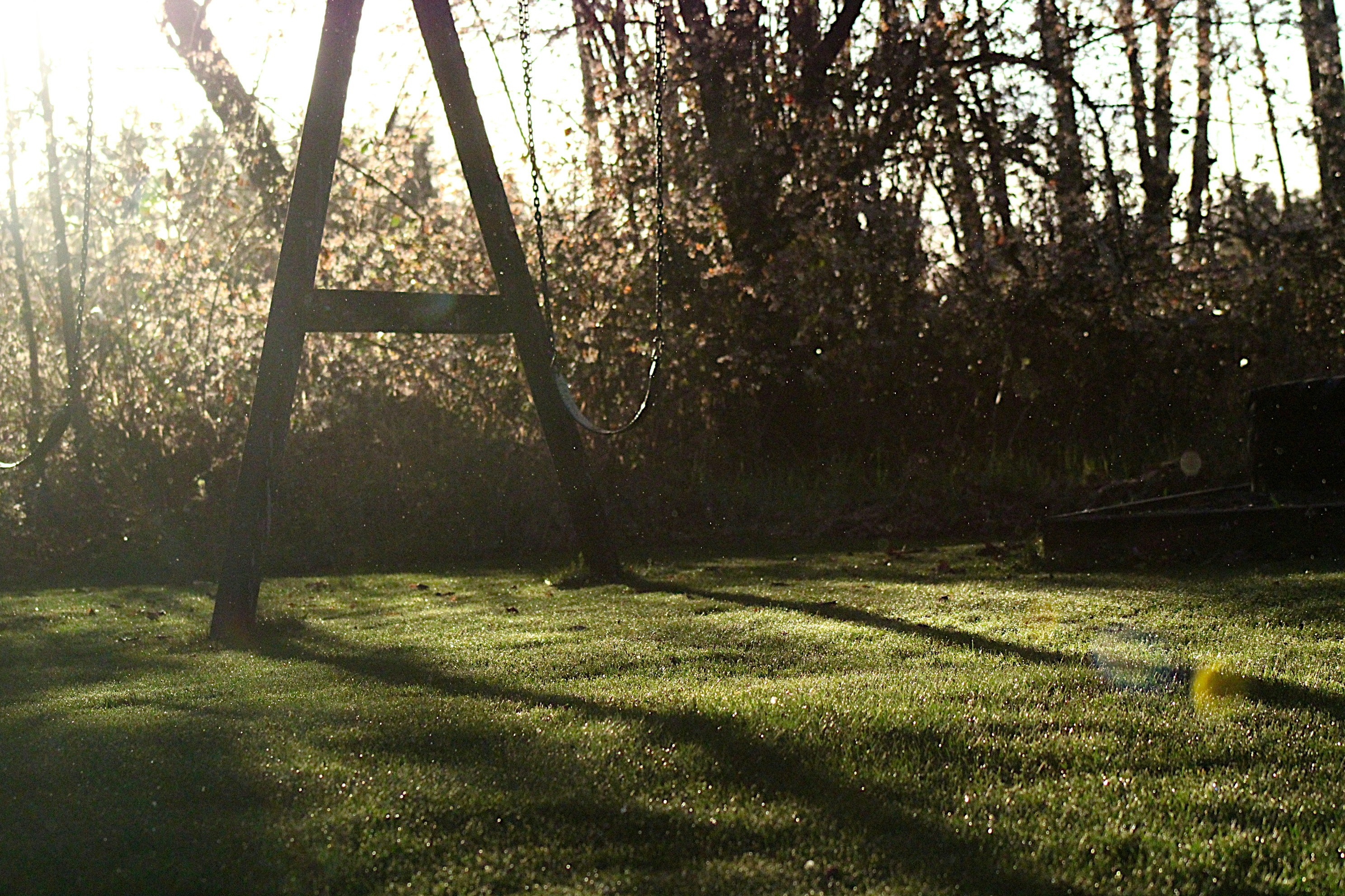 A swing set in the middle of a grassy field photo – Free Land Image on ...
