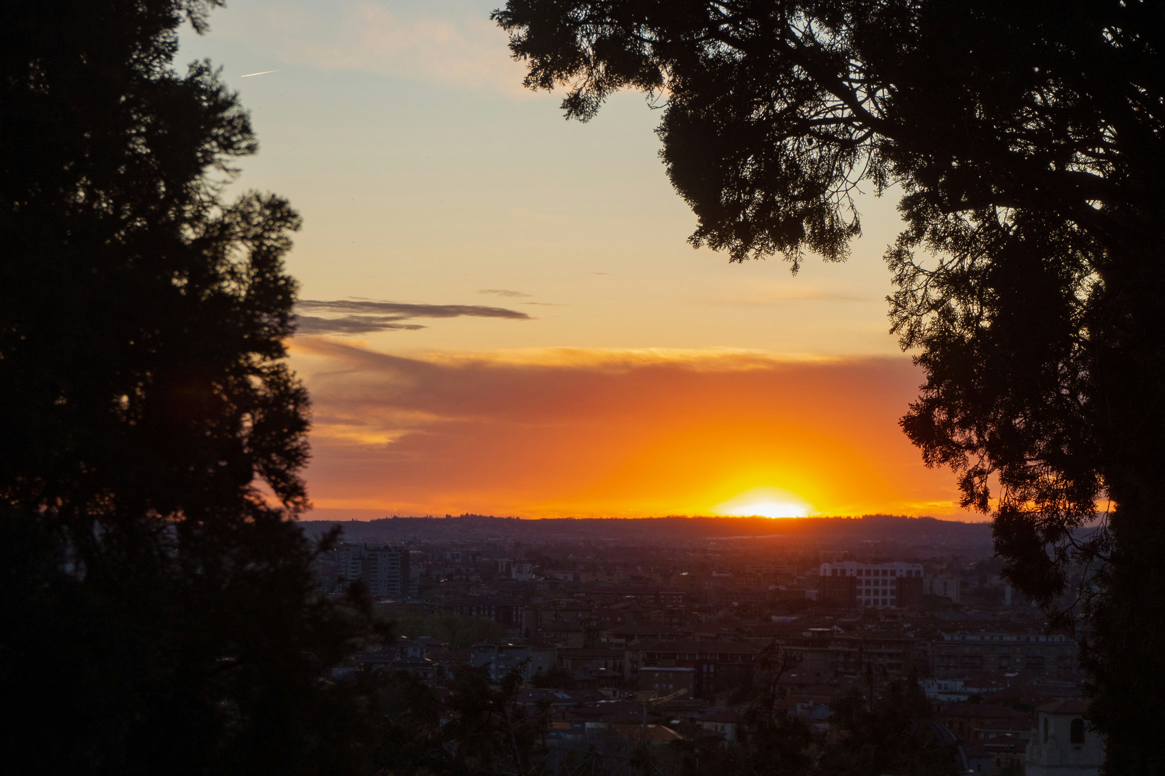 Horizon Ember: Sunset Behind a Silhouetted City Framed by Tree Canopies