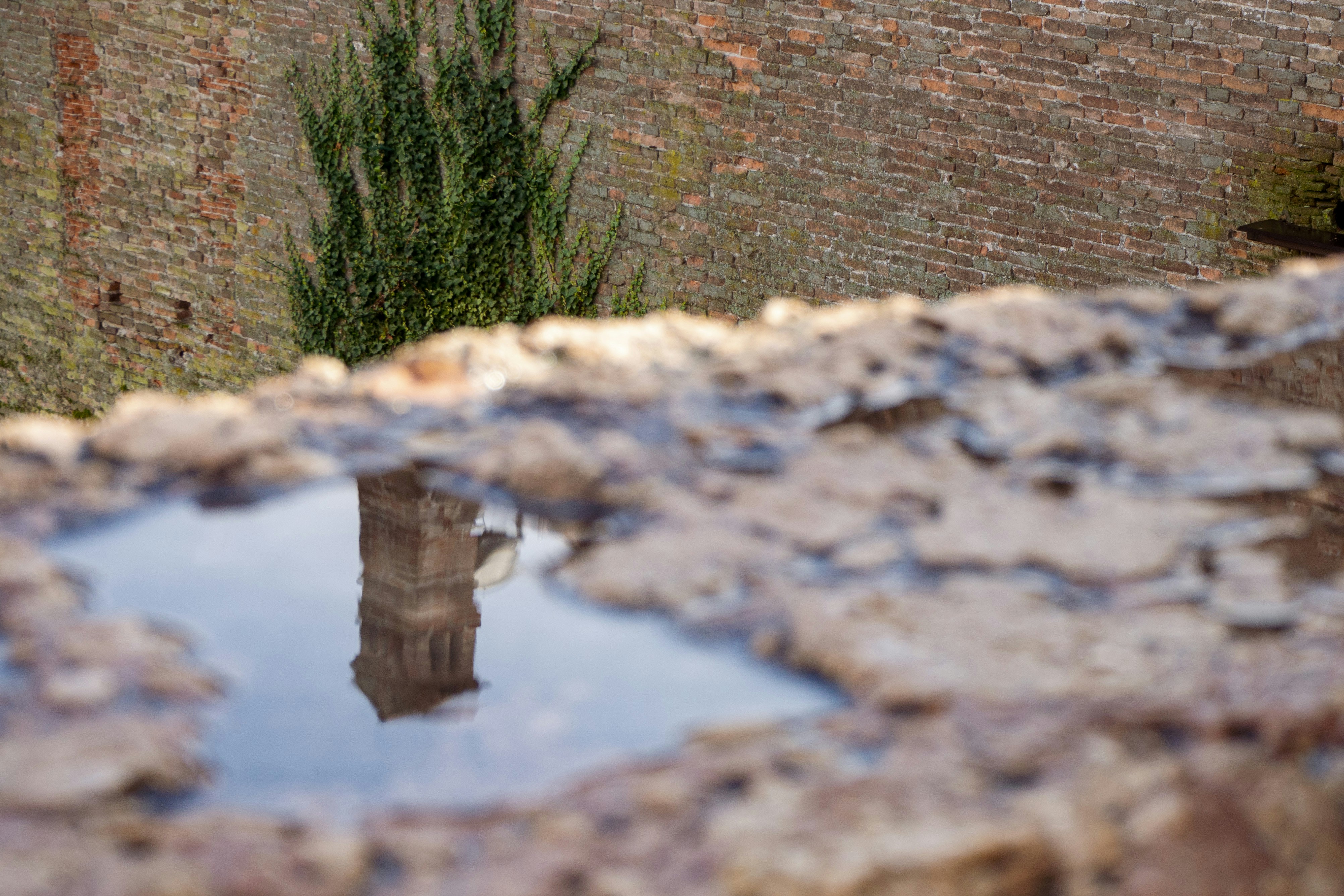 Tower Reflections in a Courtyard Puddle