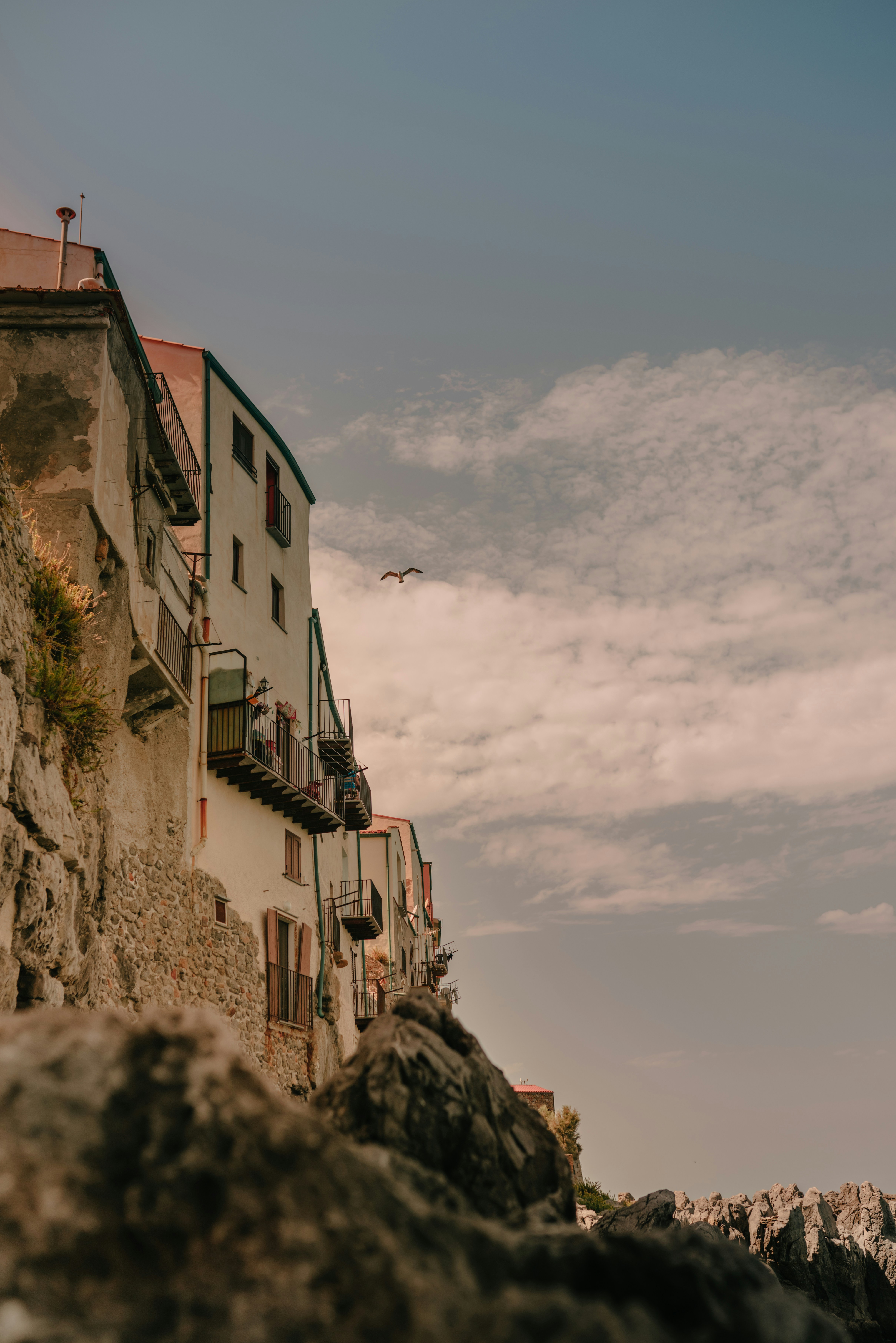 Lone Bird Over a Cliffside Village