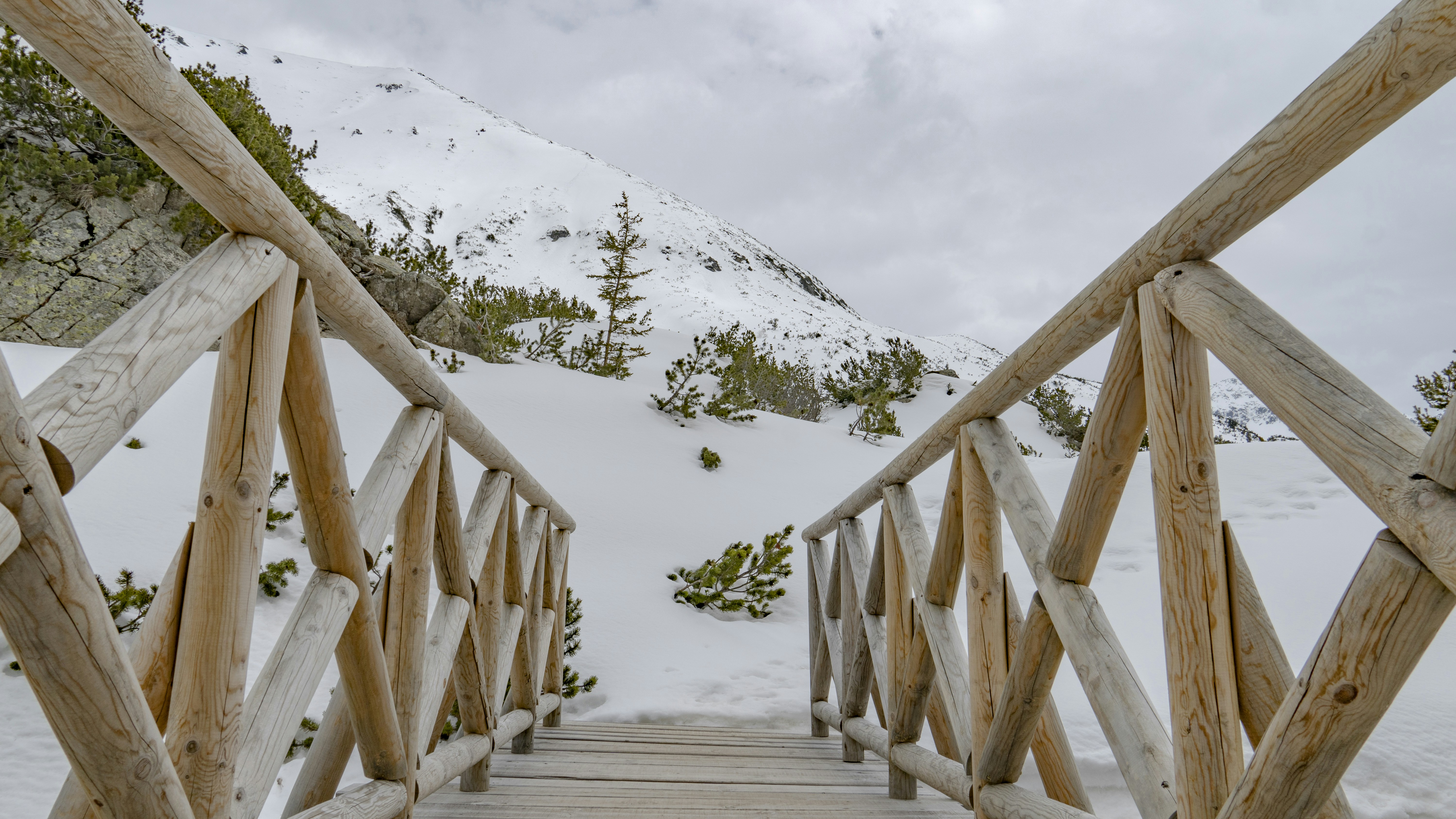 Alpine Boardwalk Convergence: Rails Toward Snow-Capped Quiet