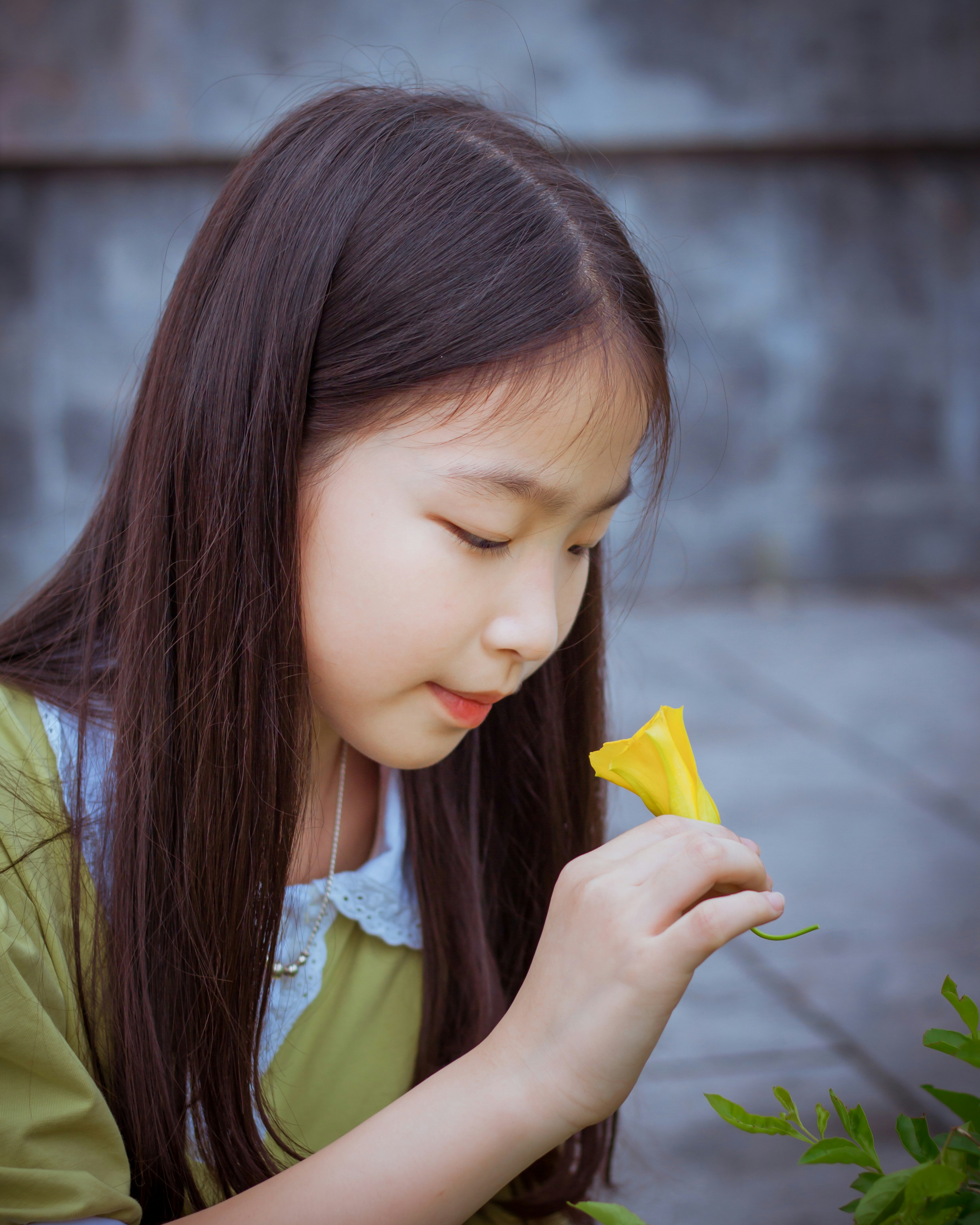 Petal of Focus: A Quiet Moment with a Yellow Blossom