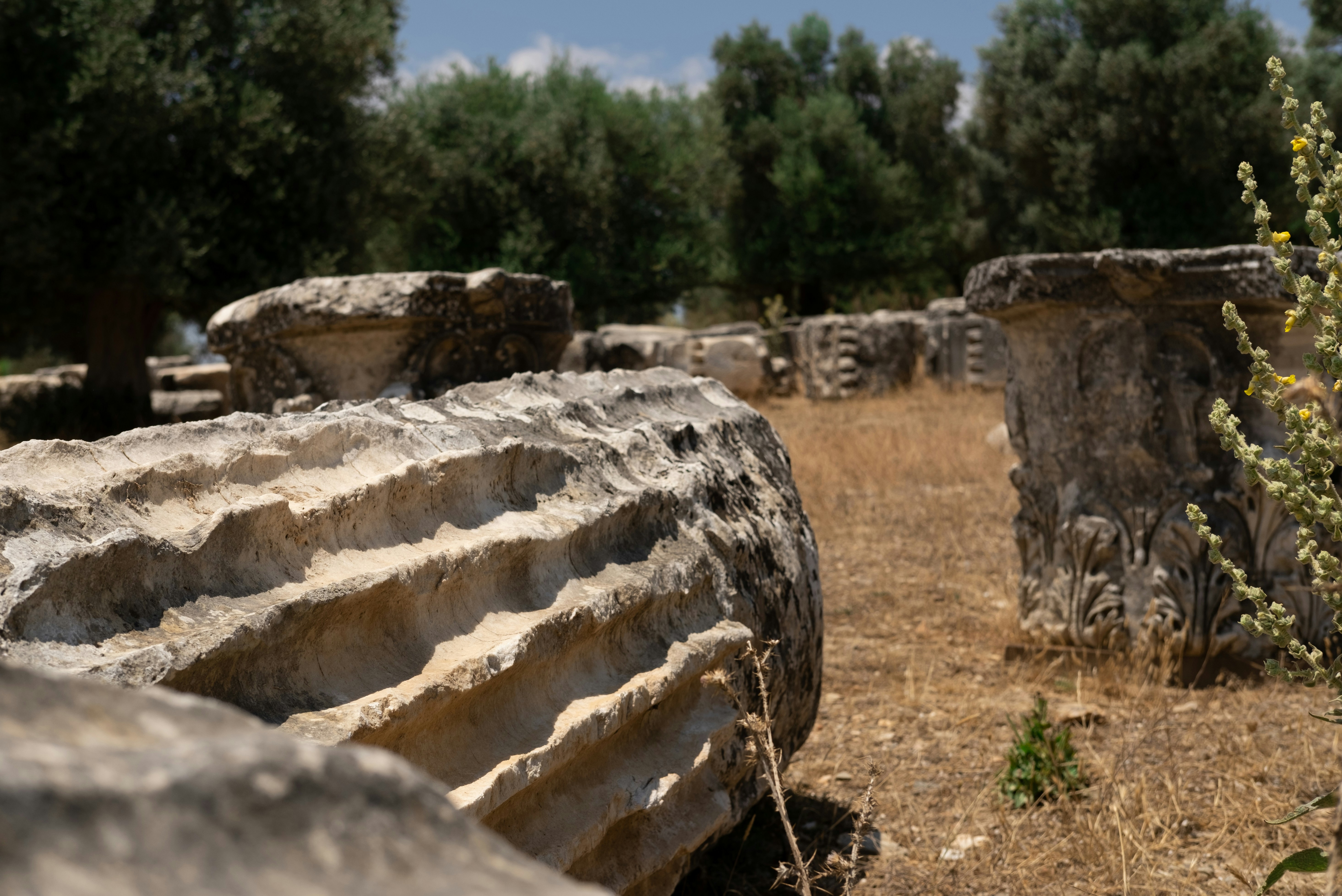 Echoes of Ancient Architecture