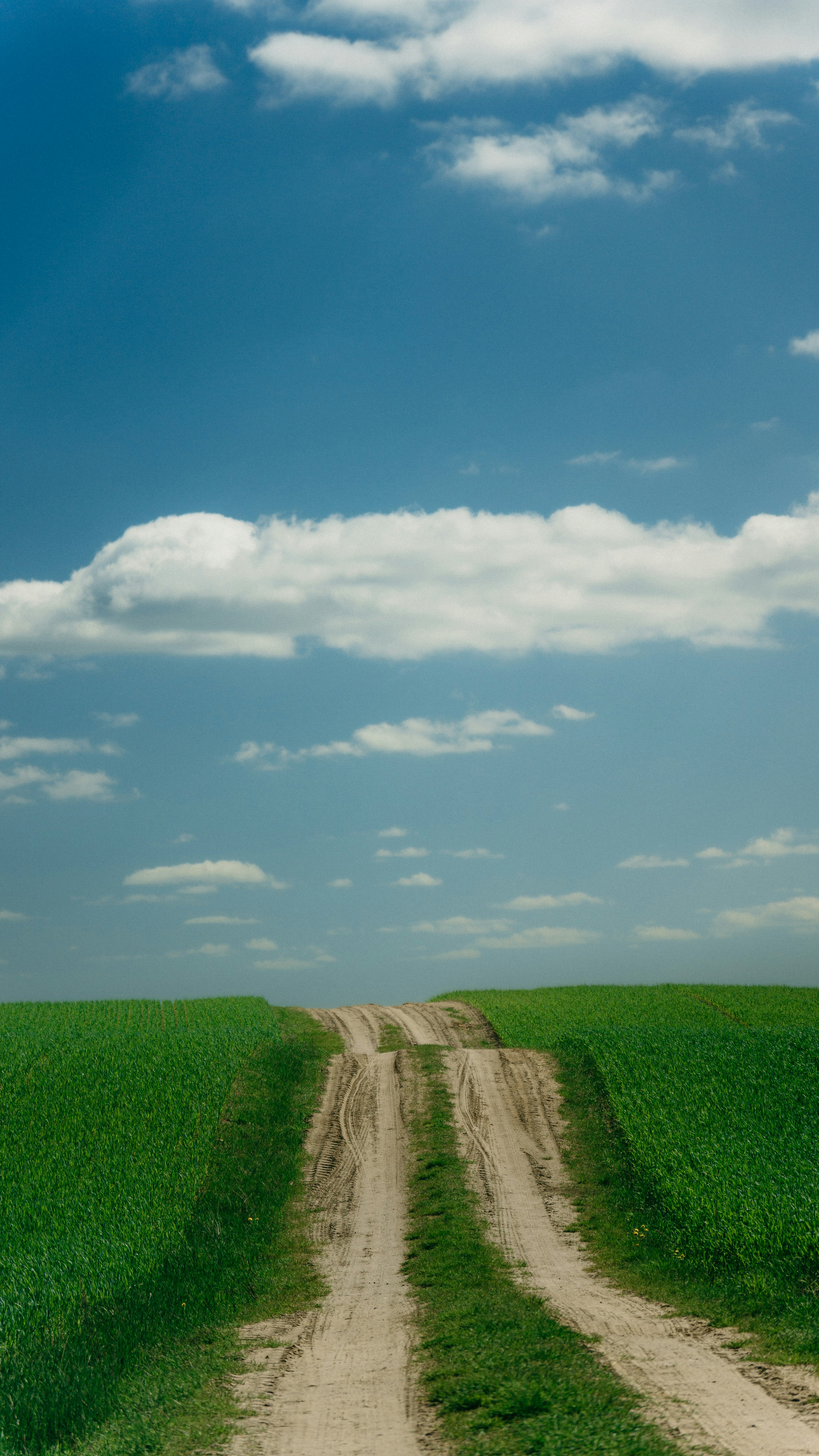 A dirt road in the middle of a green field photo – Free Nature Image on ...