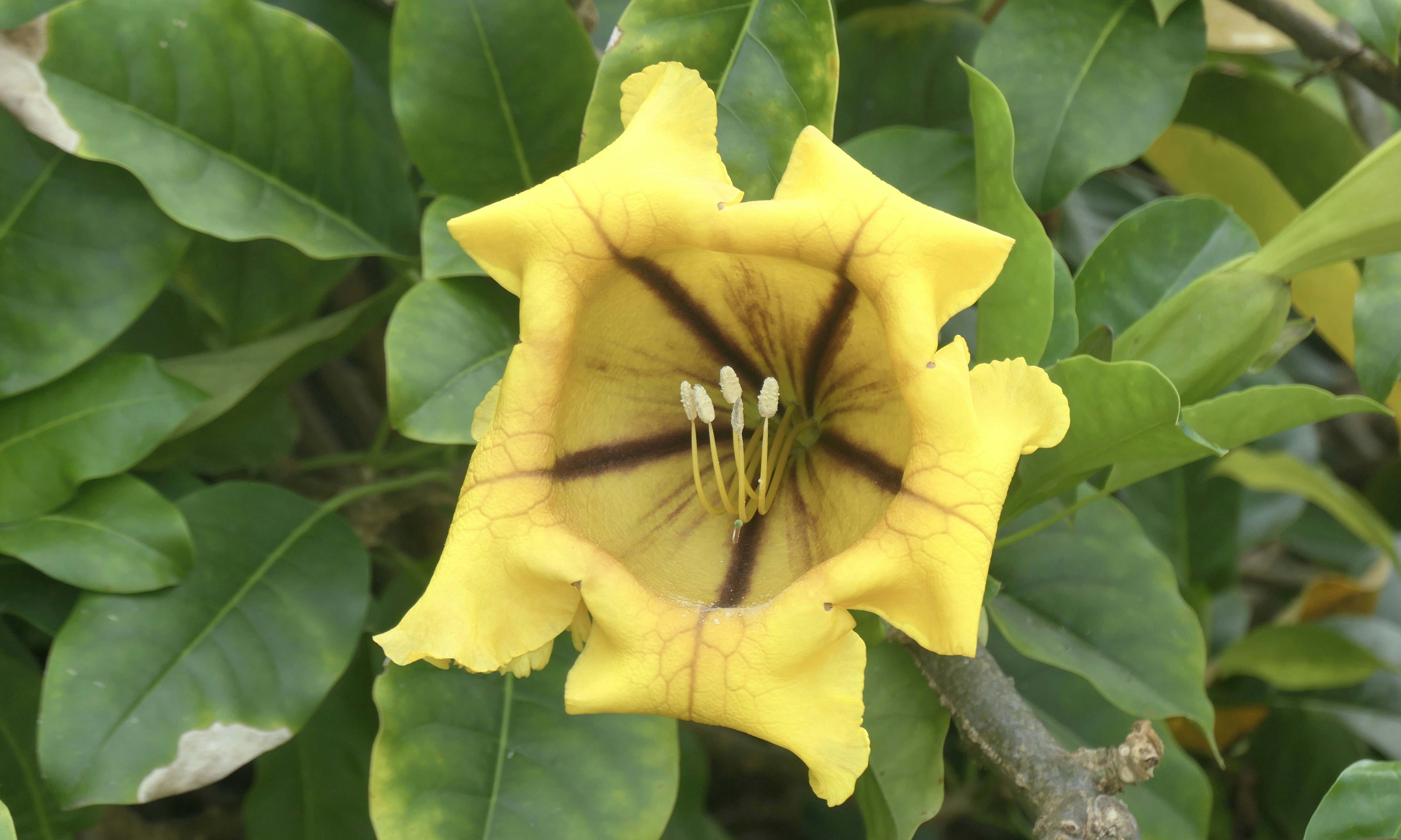 Photo by Bekky Bekks with Panasonic Lumix TZ202