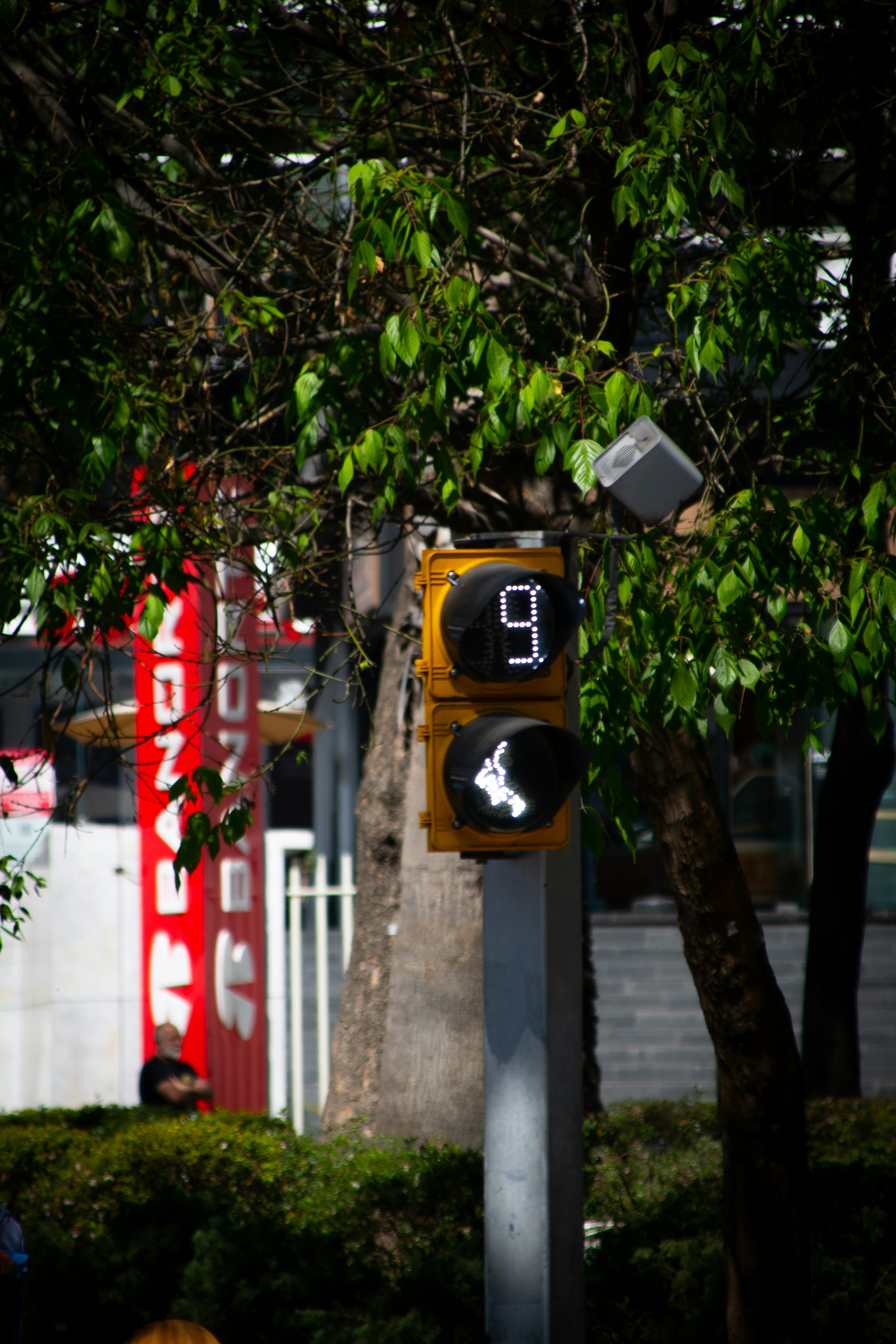 Neon Nine Framed by Green Canopy: An Urban Signal Portrait