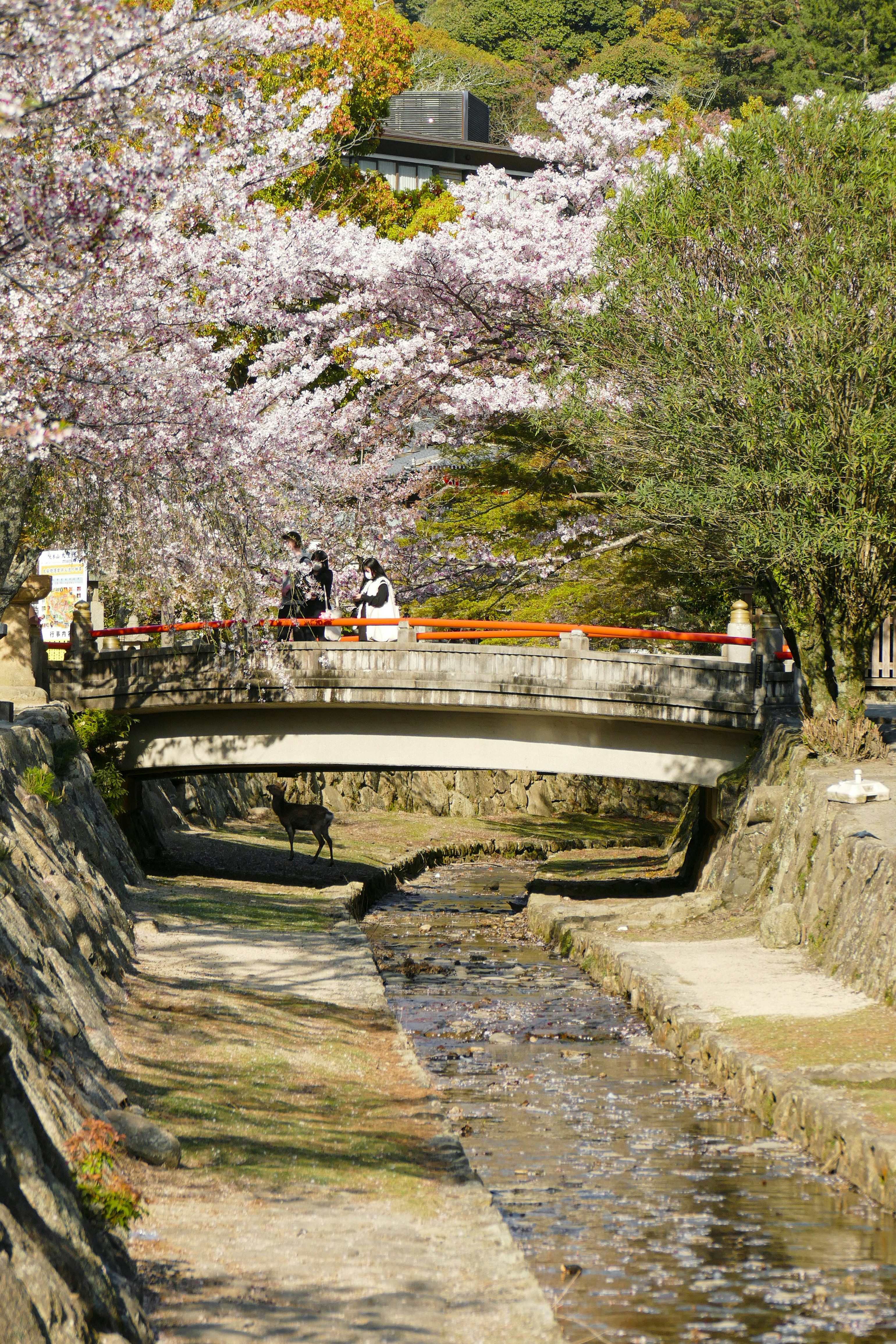 Ohayo Japan | Winning Streak Continues; A Beneficiary of EV Battery ...