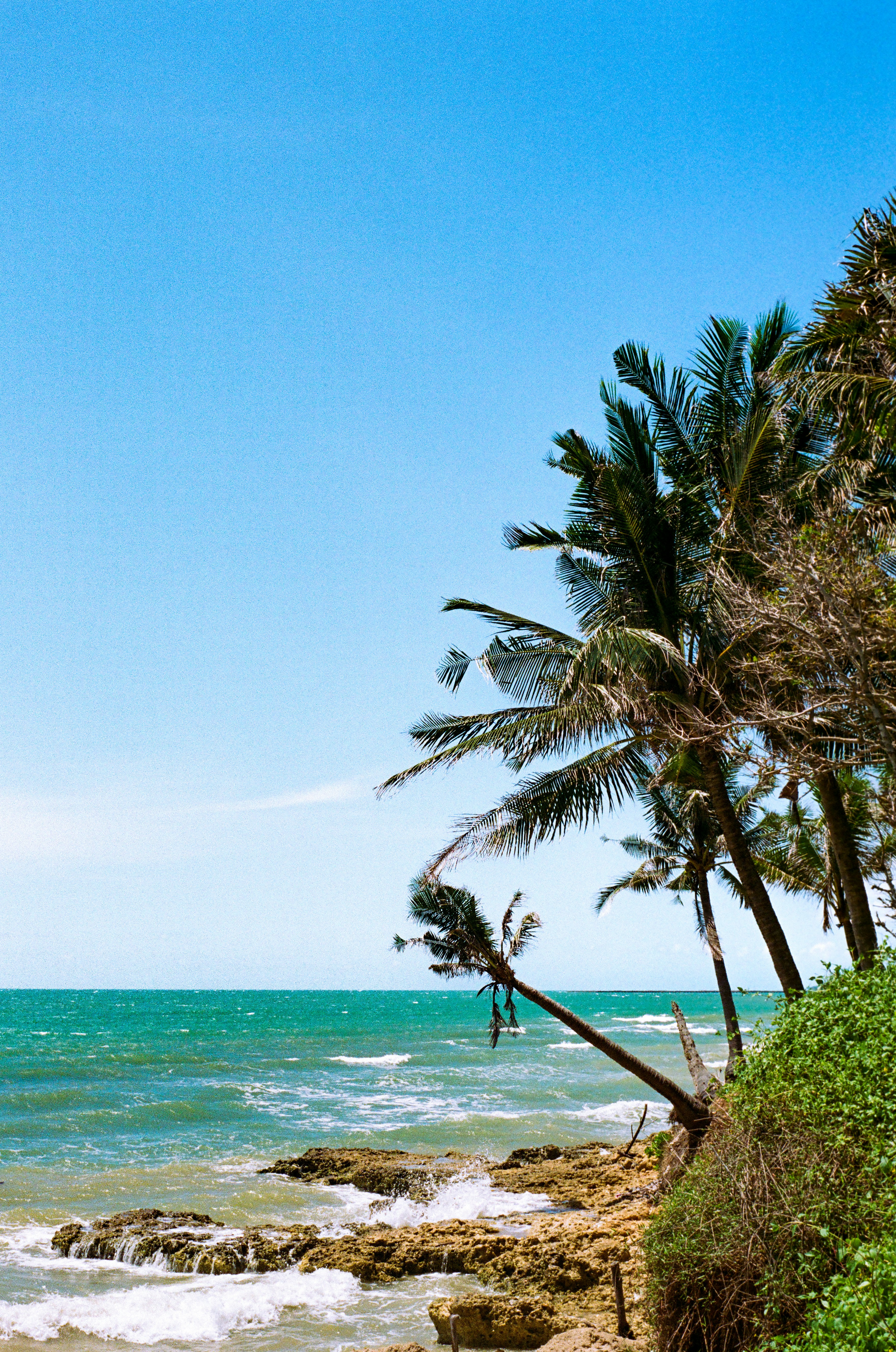A man riding a surfboard on top of a wave covered beach photo – Free ...