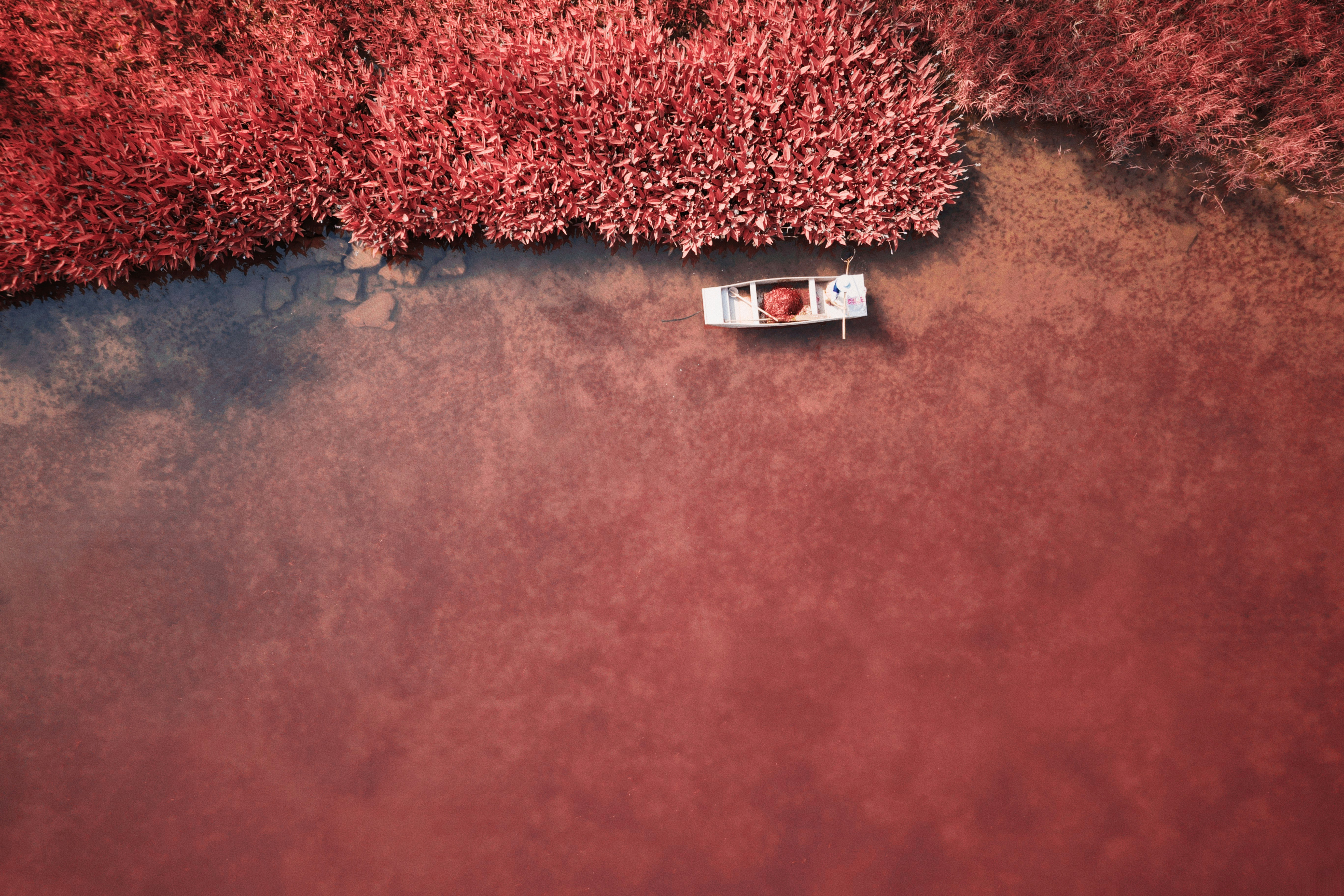 Isolation on the River: A lone boat adrift along red-tinted waters