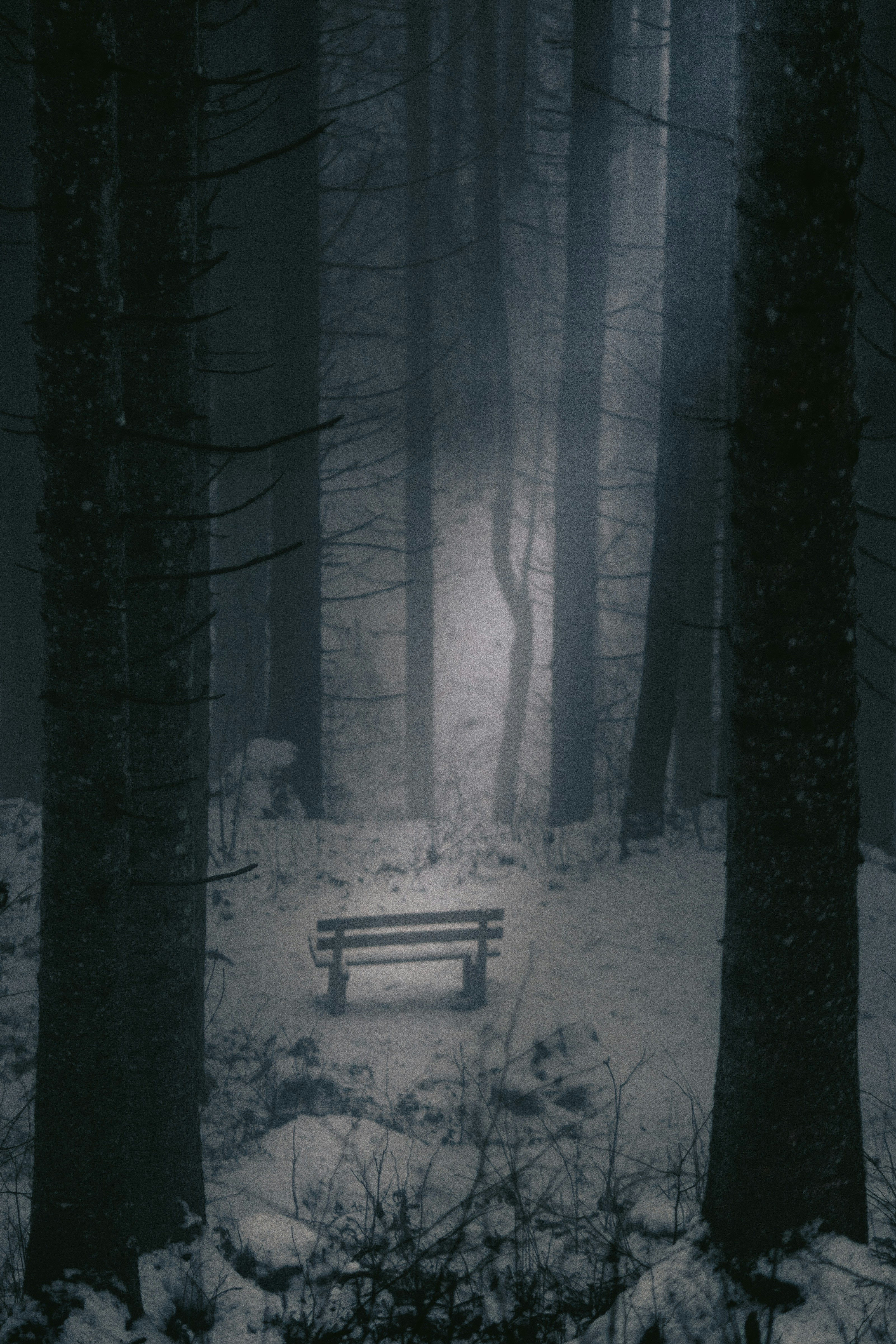 Photo by Keller Chewning with Canon EOS M50