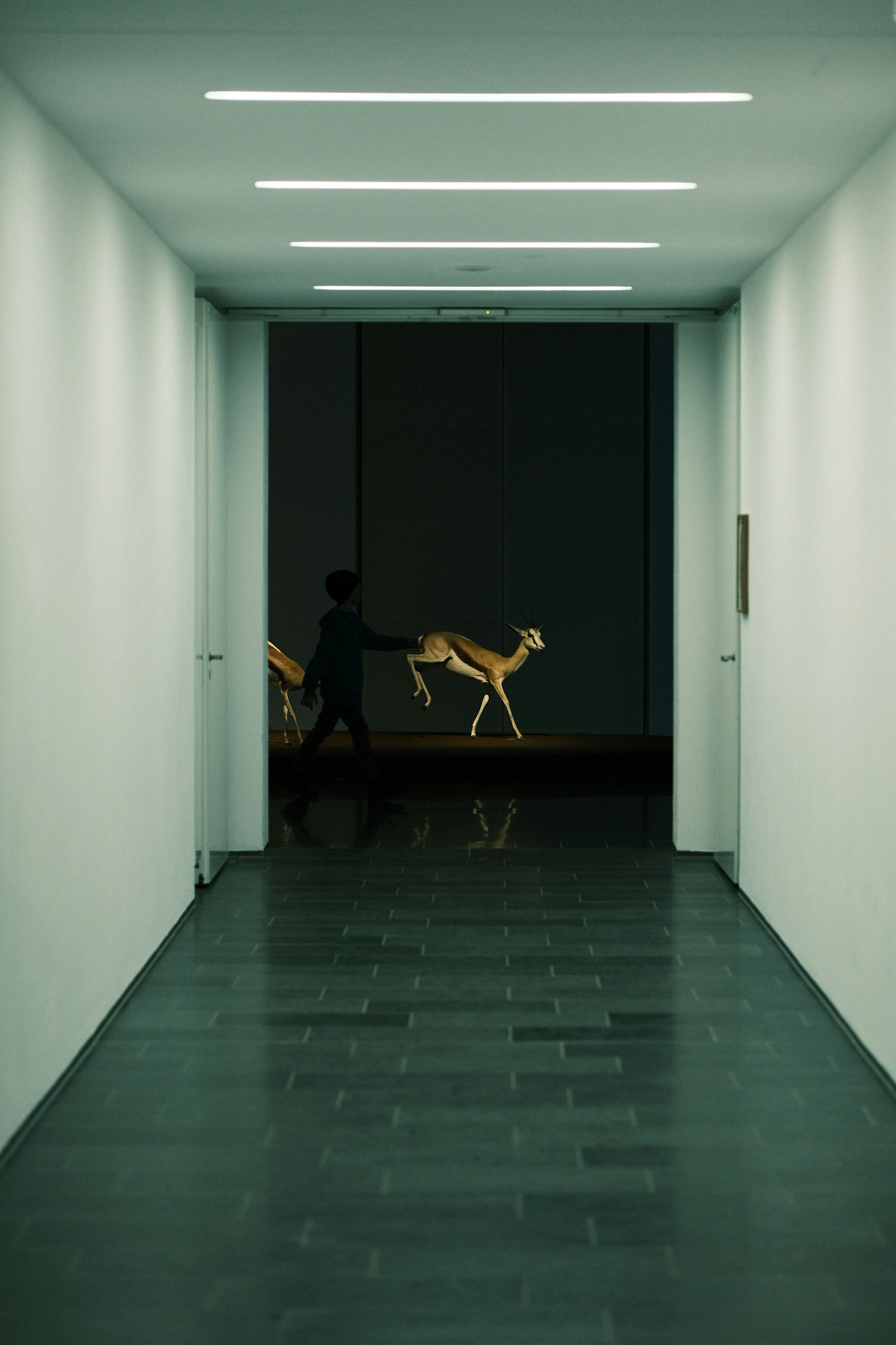 Neon Threshold: A Figure and a Dog Enter the Corridor's Quiet End