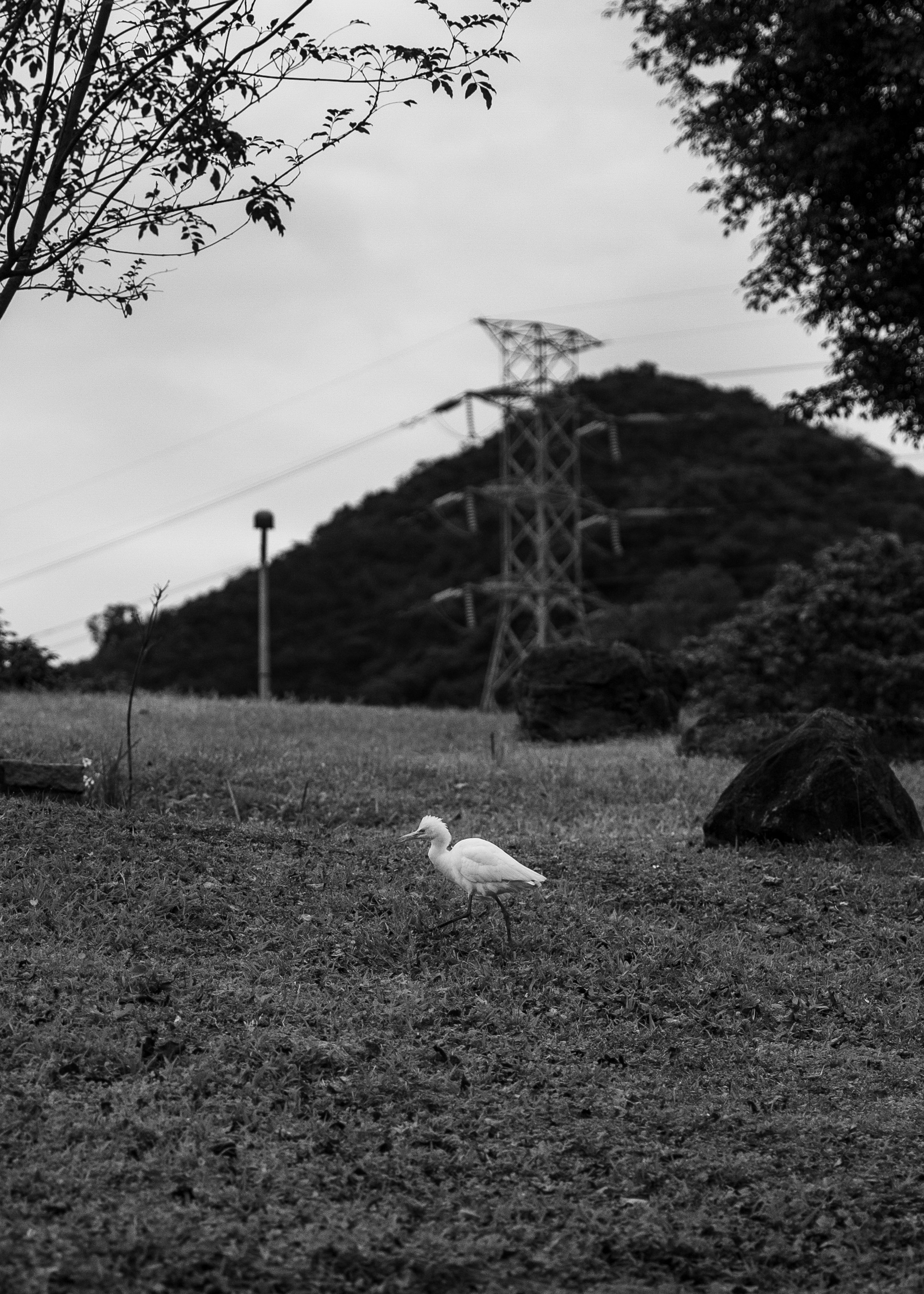 Photo by K.T. Francis with Canon EOS 400D