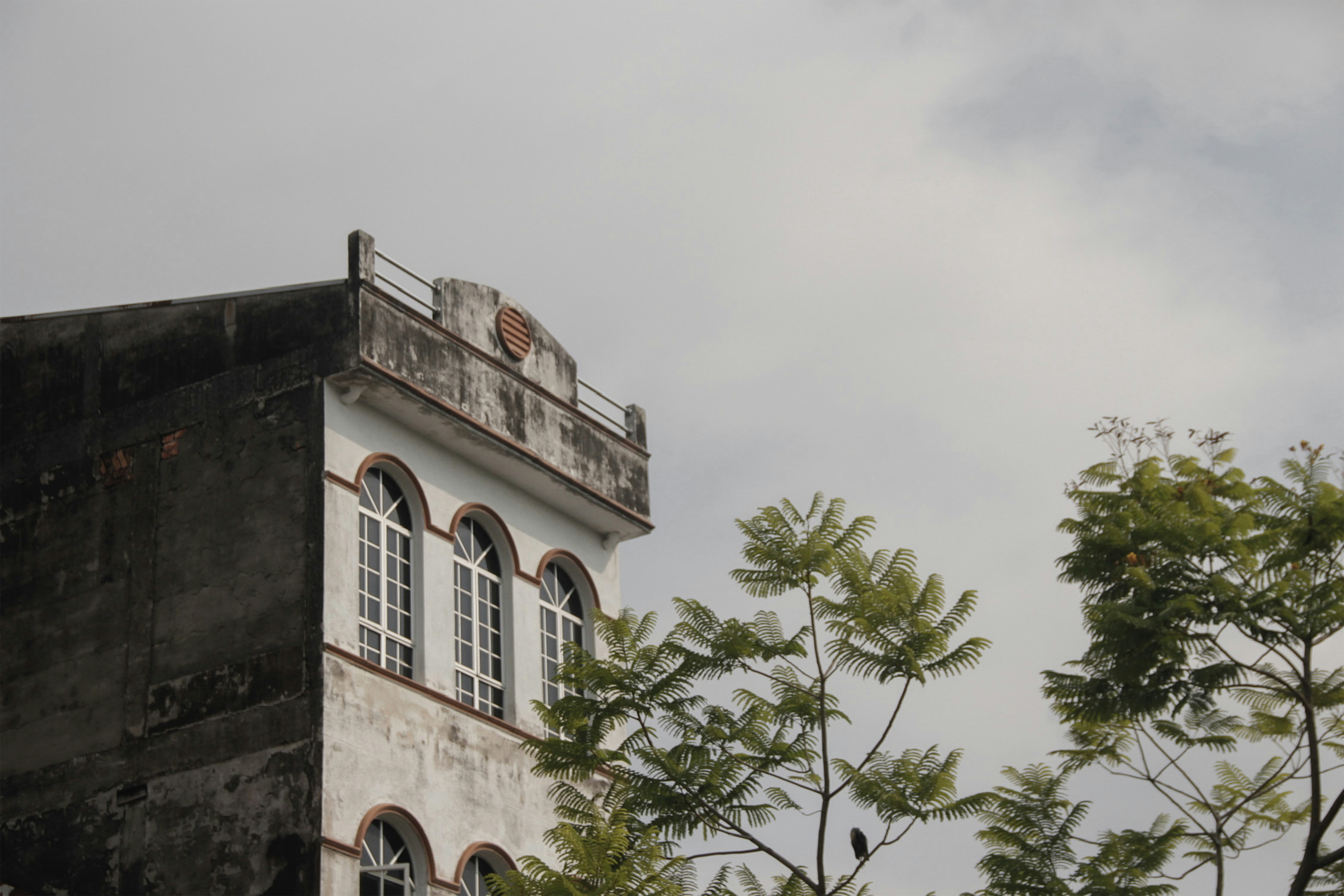 Vintage building with a clock tower framed by overcast sky and leafy branches.